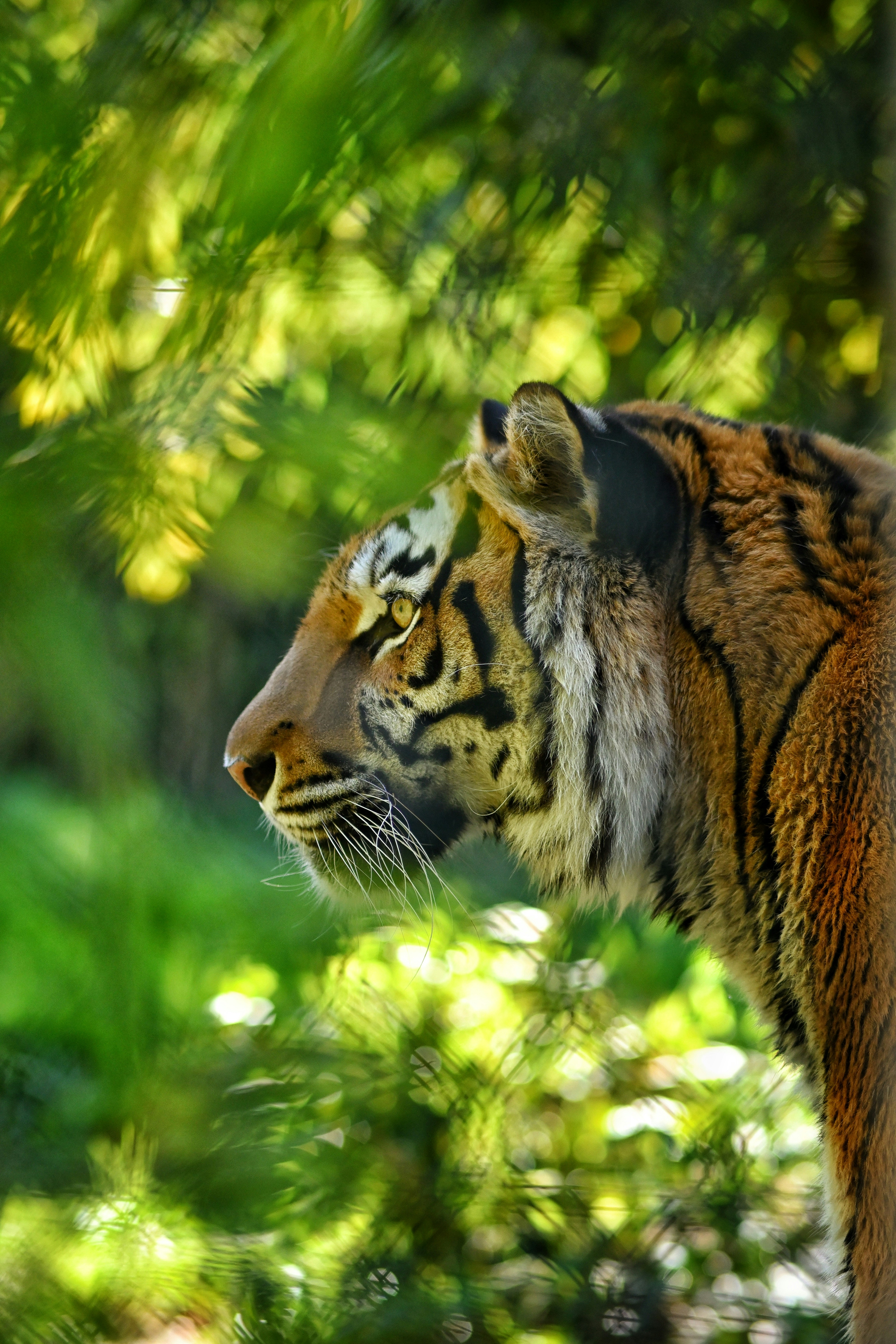 Photo by Diogo Lemos with Nikon Z30