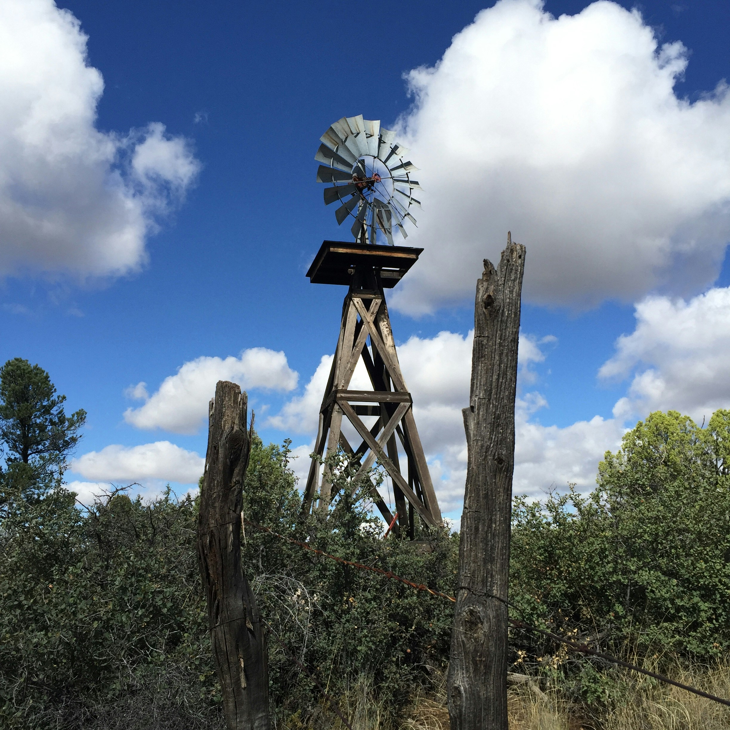 Whispers of the Past: A Rustic Windmill's Tale