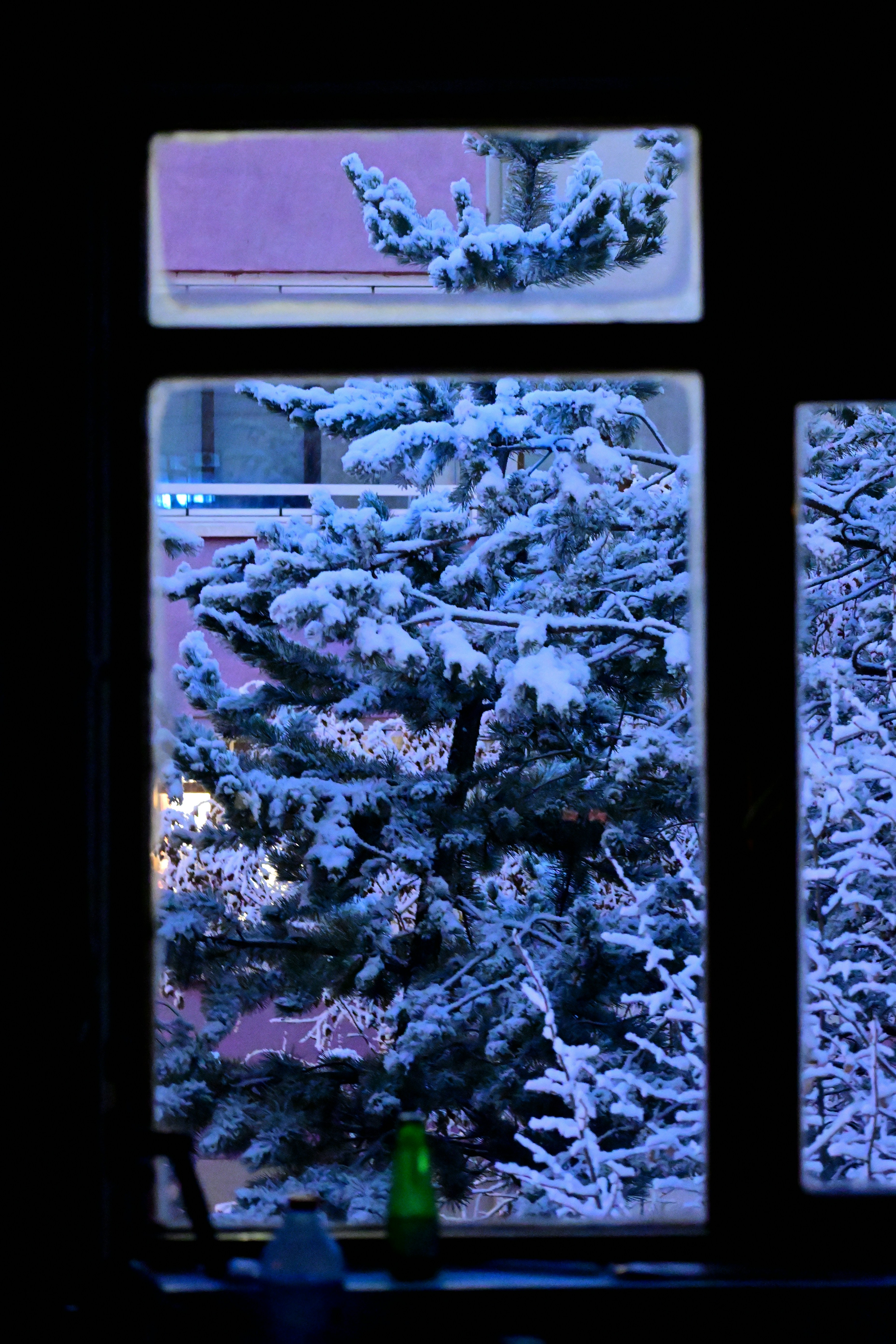 Photo by Amin Zabardast with Nikon Z30