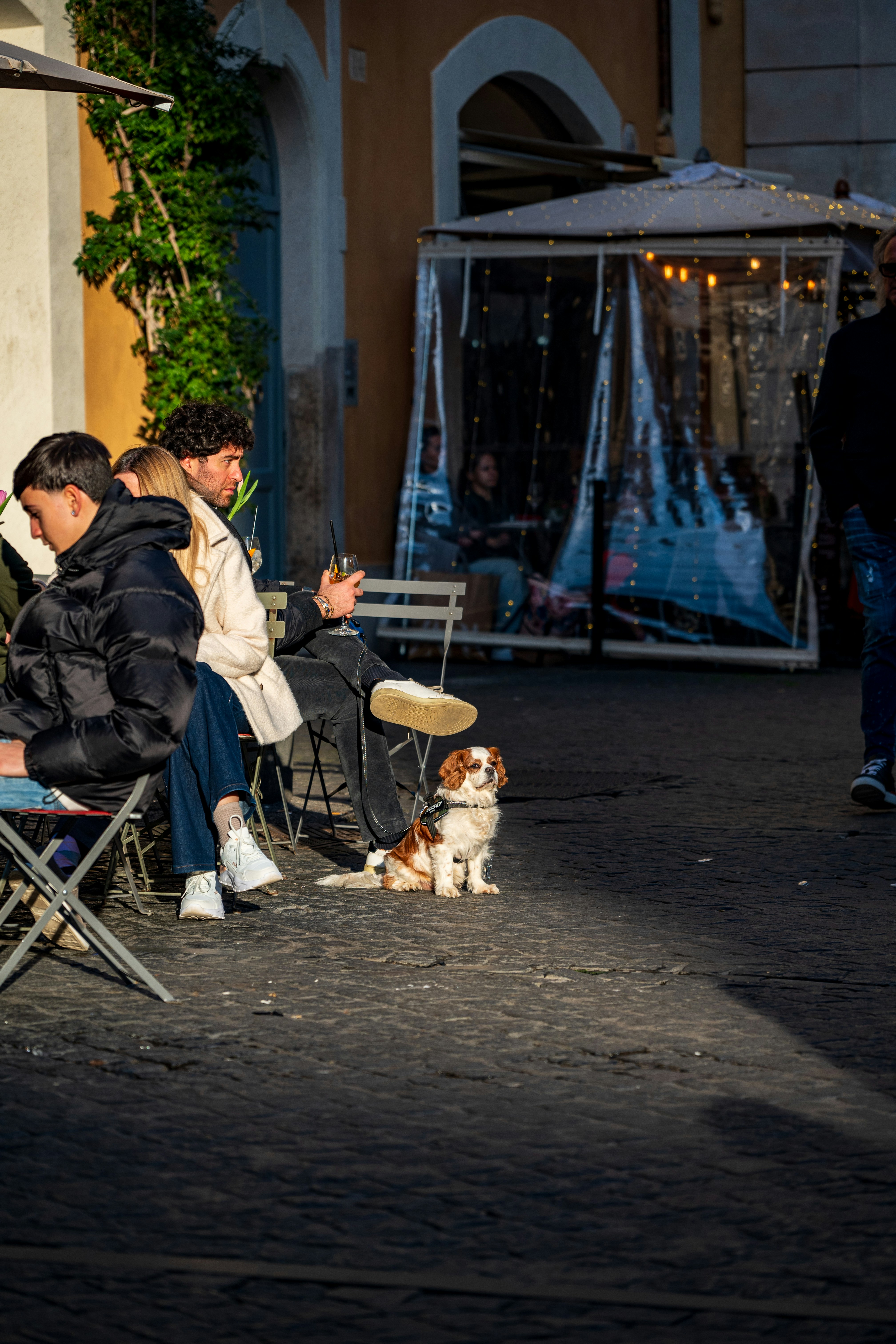 People and a dog enjoying a sunny afternoon.