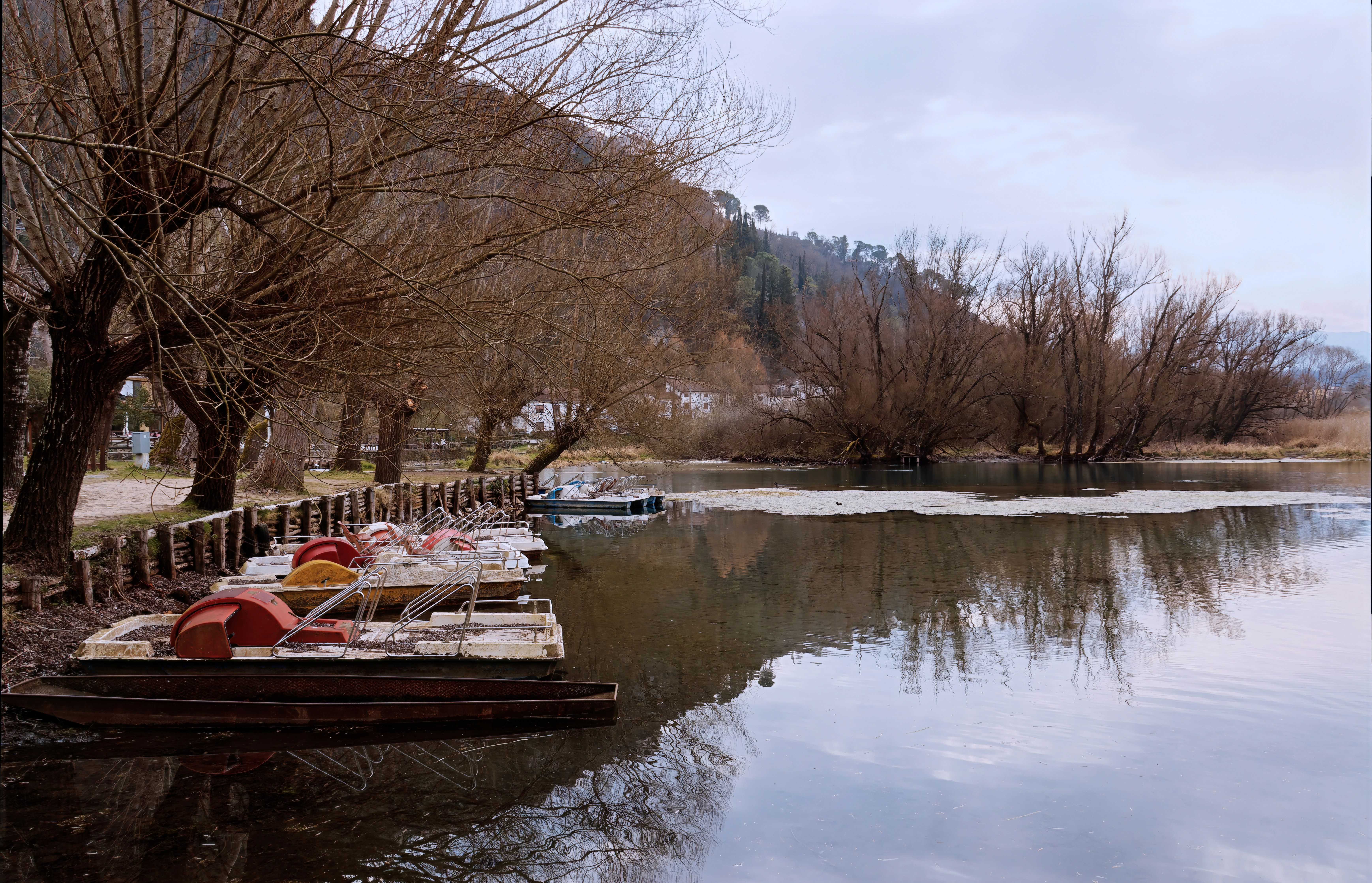 Quiet Reflections by the Riverside