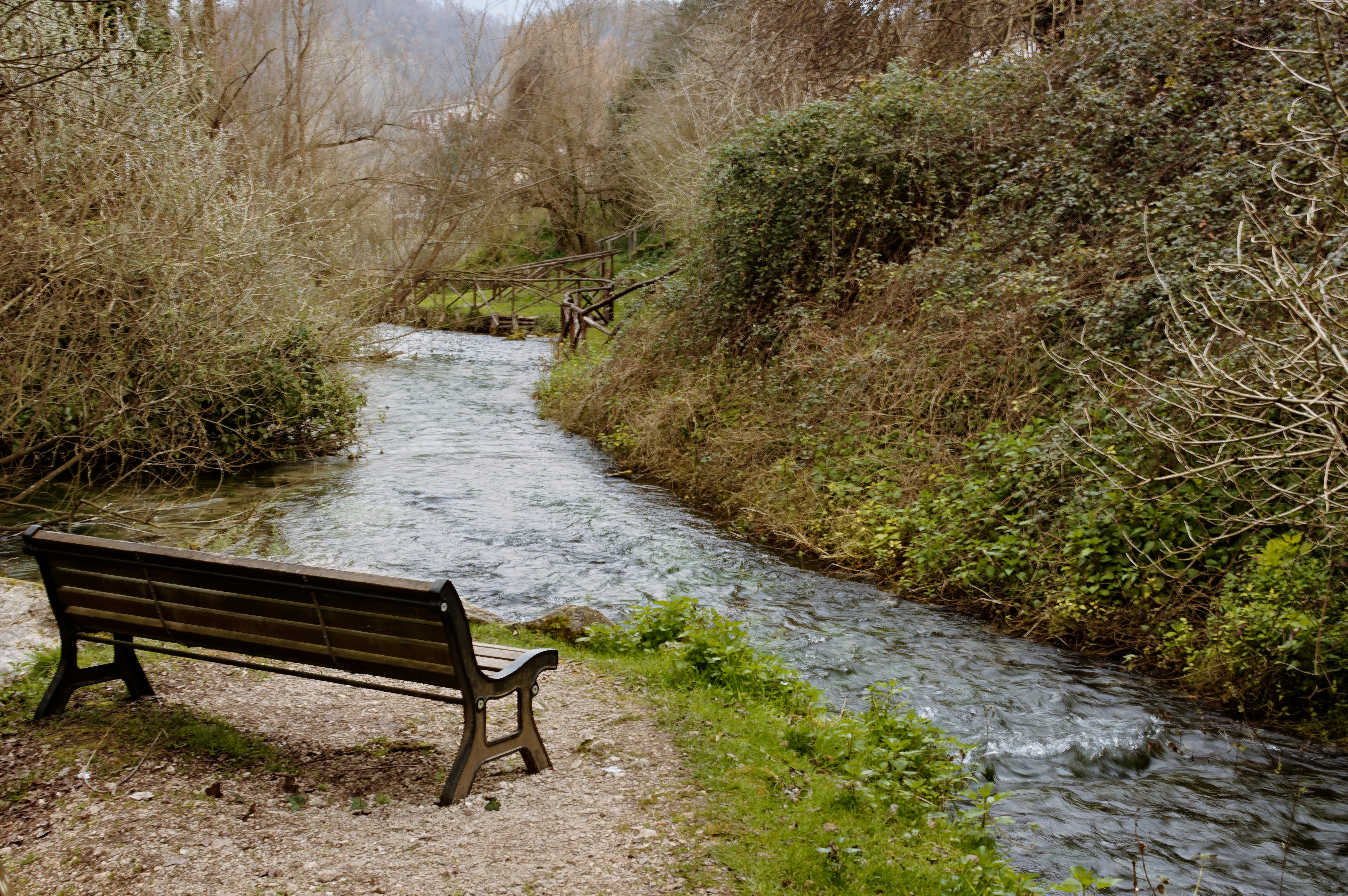 Wooden bench overlooking a gentle stream bordered by lush greenery and bare trees.