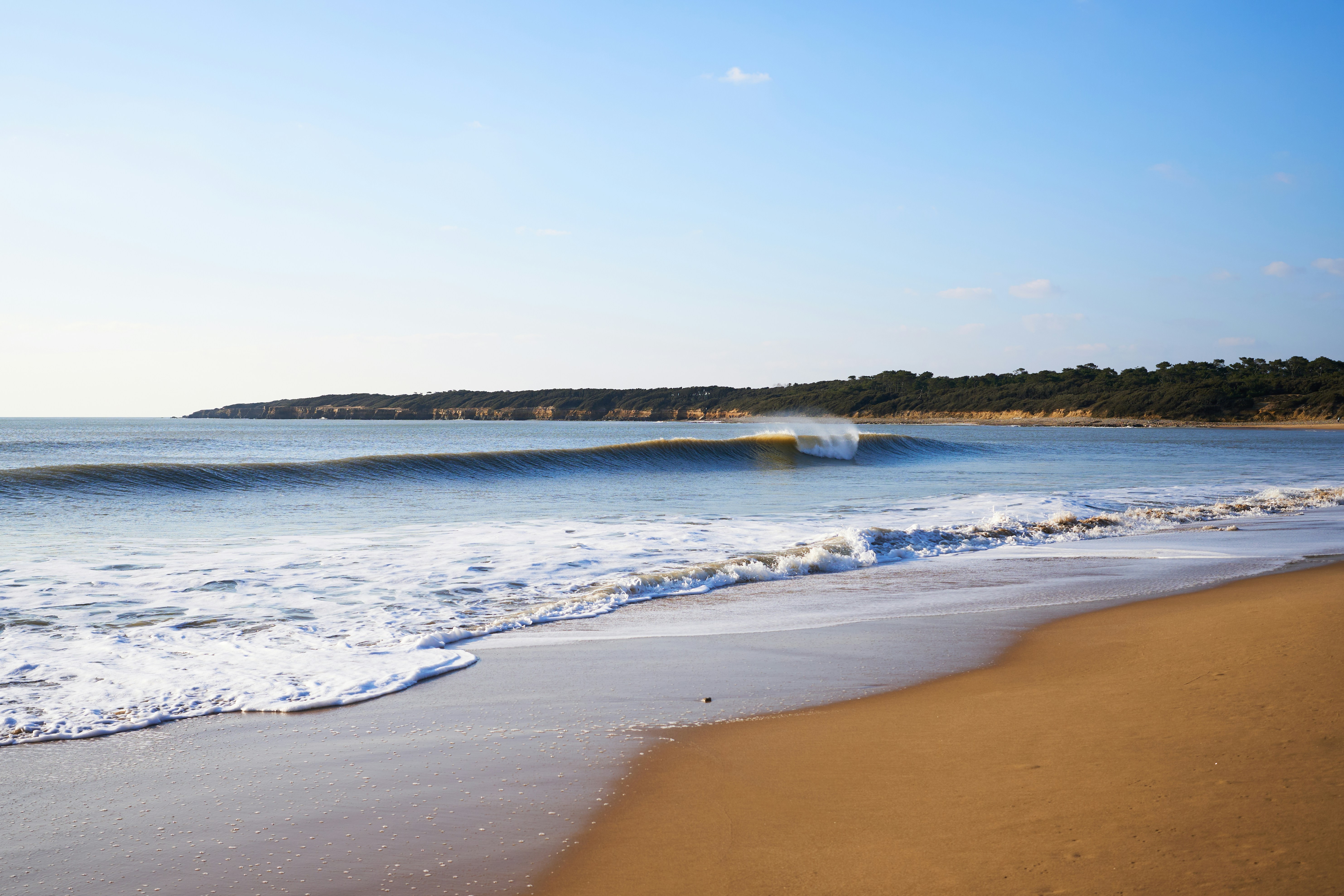 Serene Shoreline Symphony
