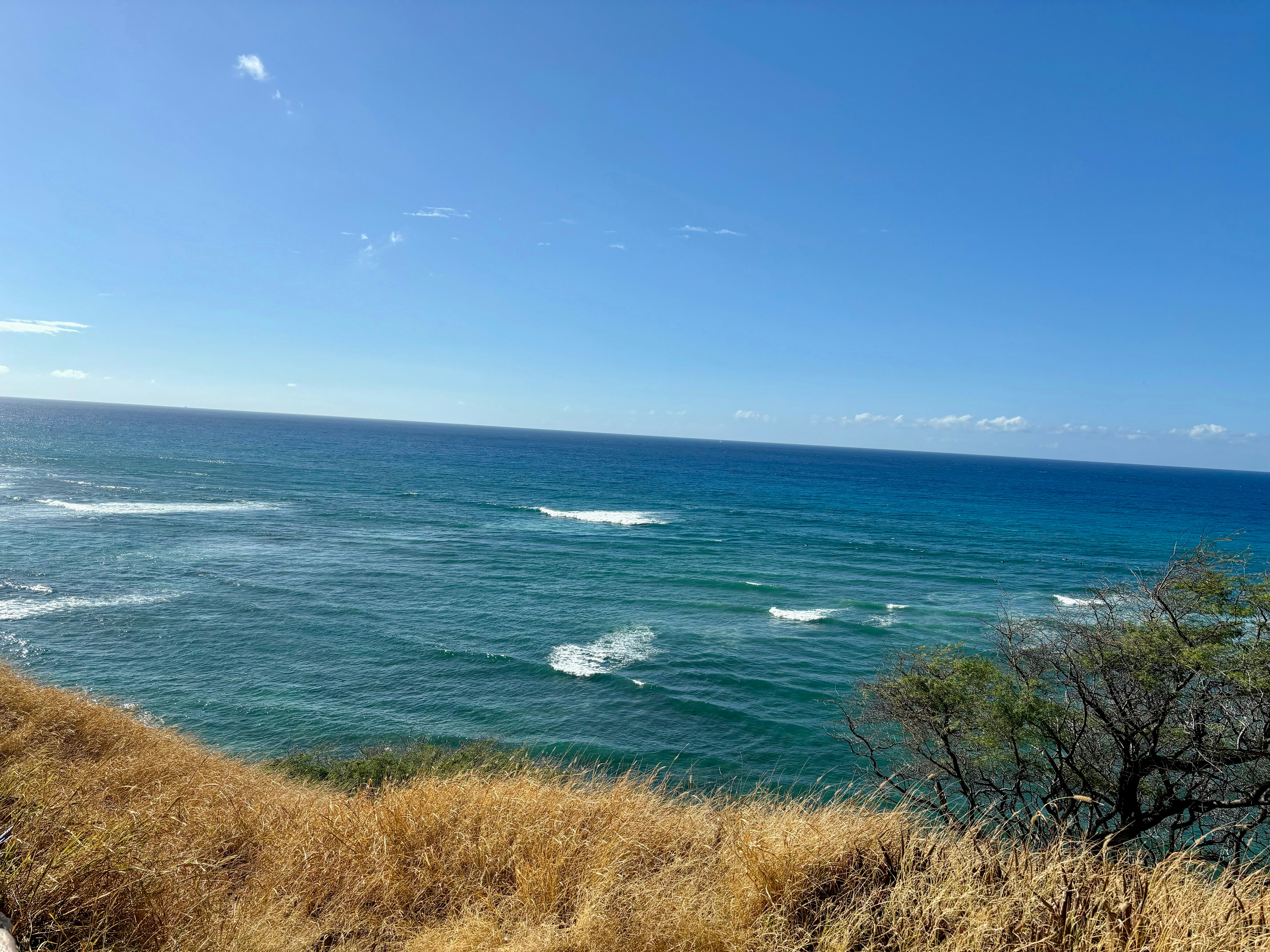 Shannon Shell (@paigemasta03) | Unsplash Photo Community