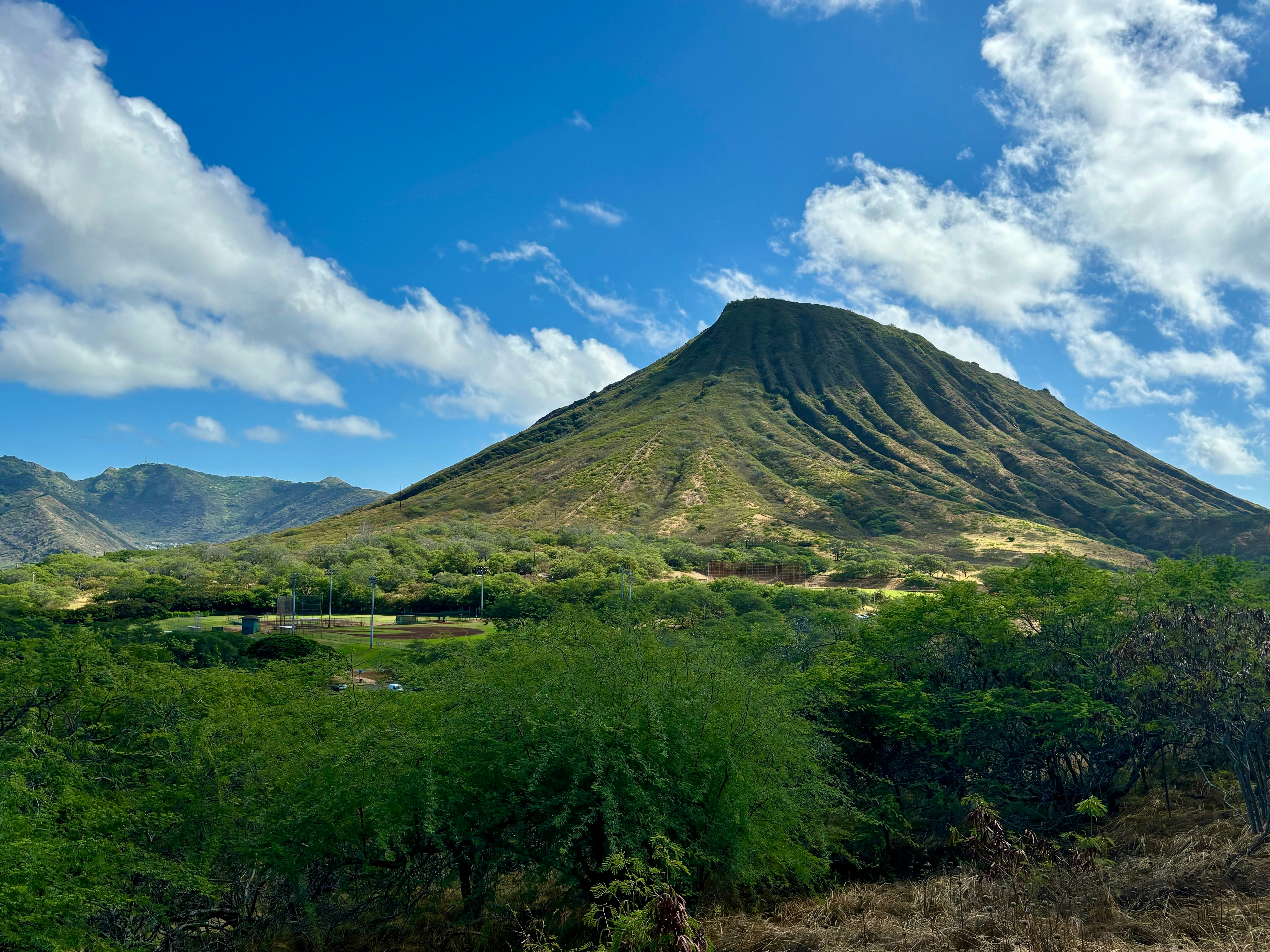 Shannon Shell (@paigemasta03) | Unsplash Photo Community