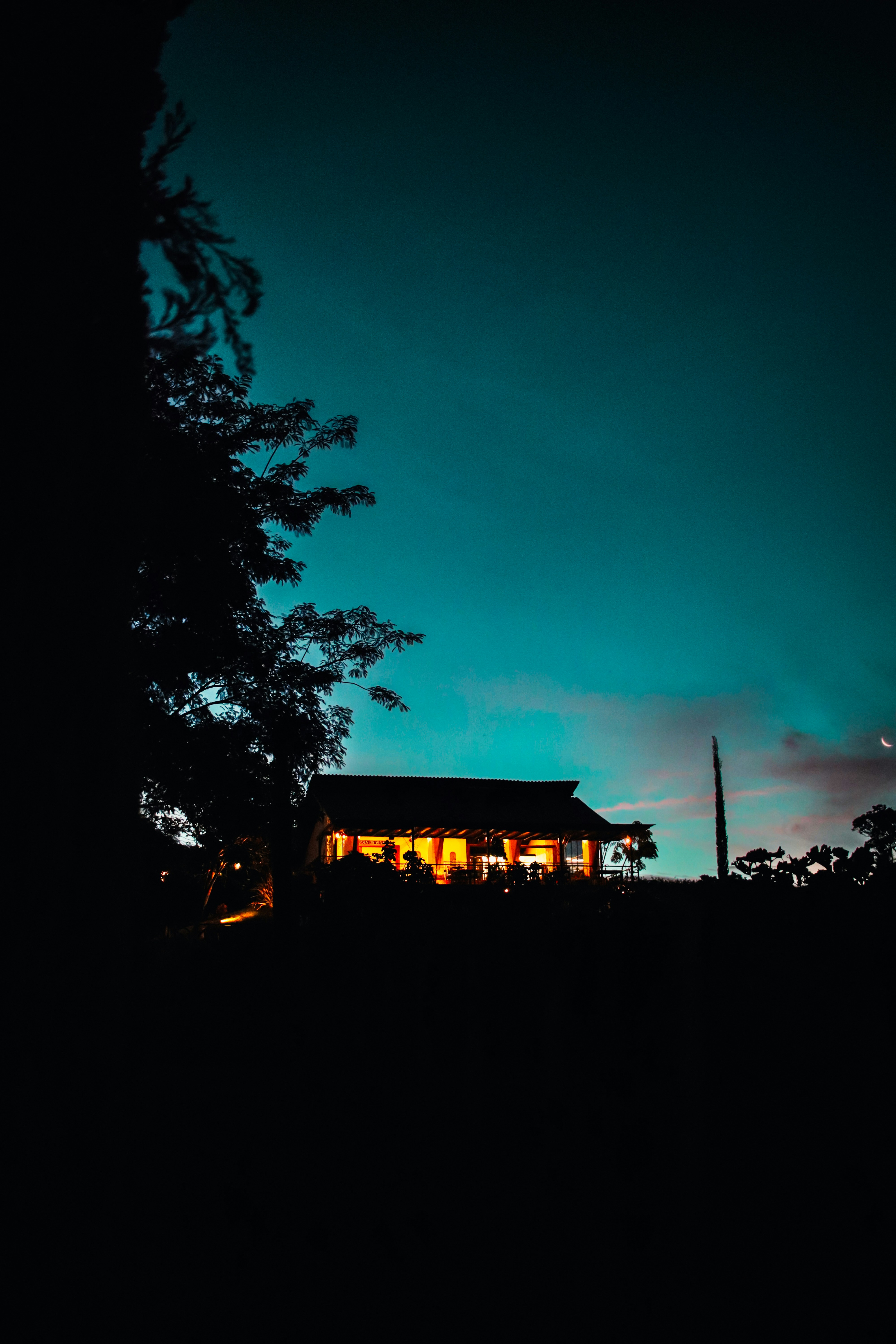 House illuminated warmly against a deep twilight sky, framed by silhouetted trees and a crescent moon.