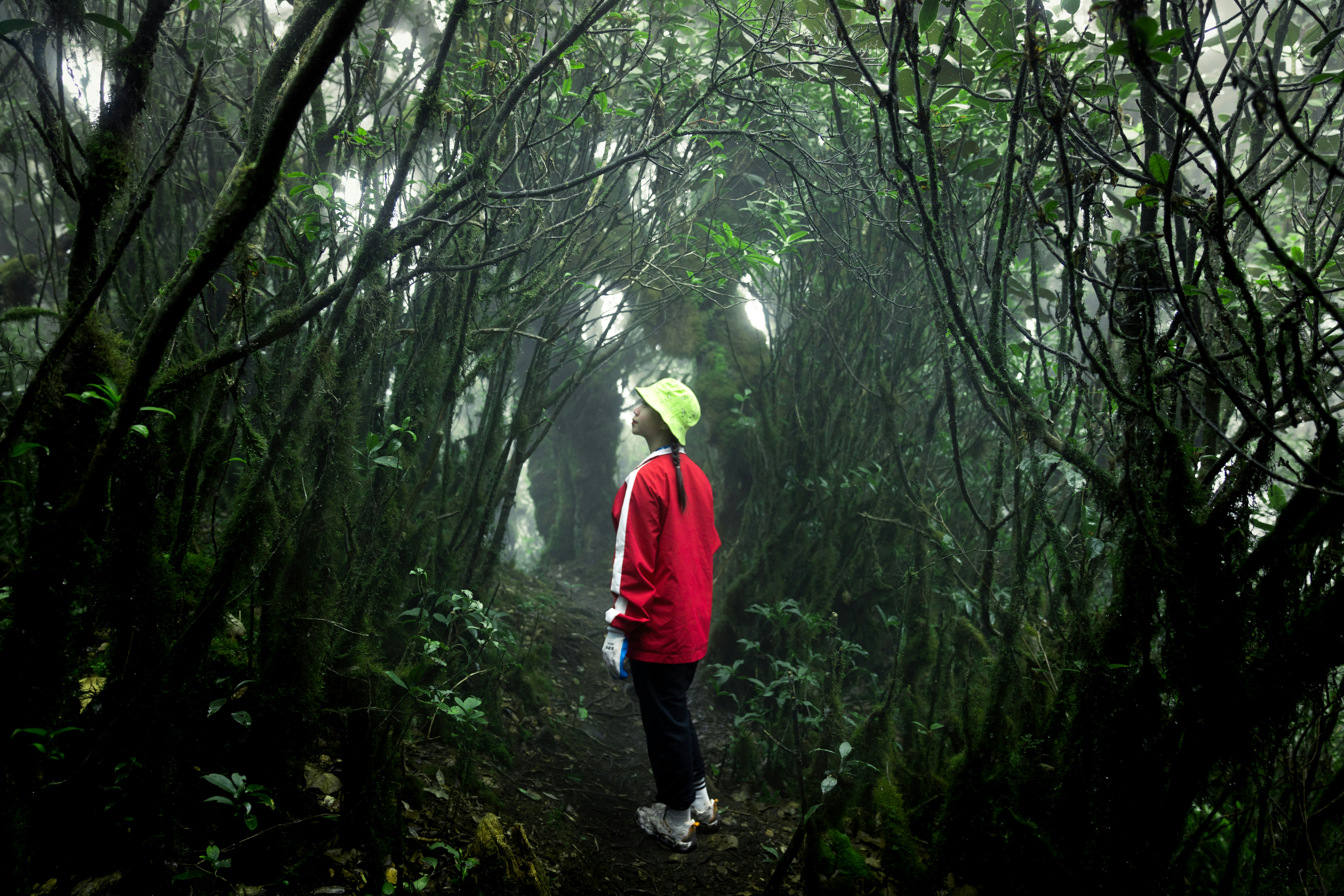 Person in a red jacket and green hat stands on a narrow forest path surrounded by dense, misty vegetation.