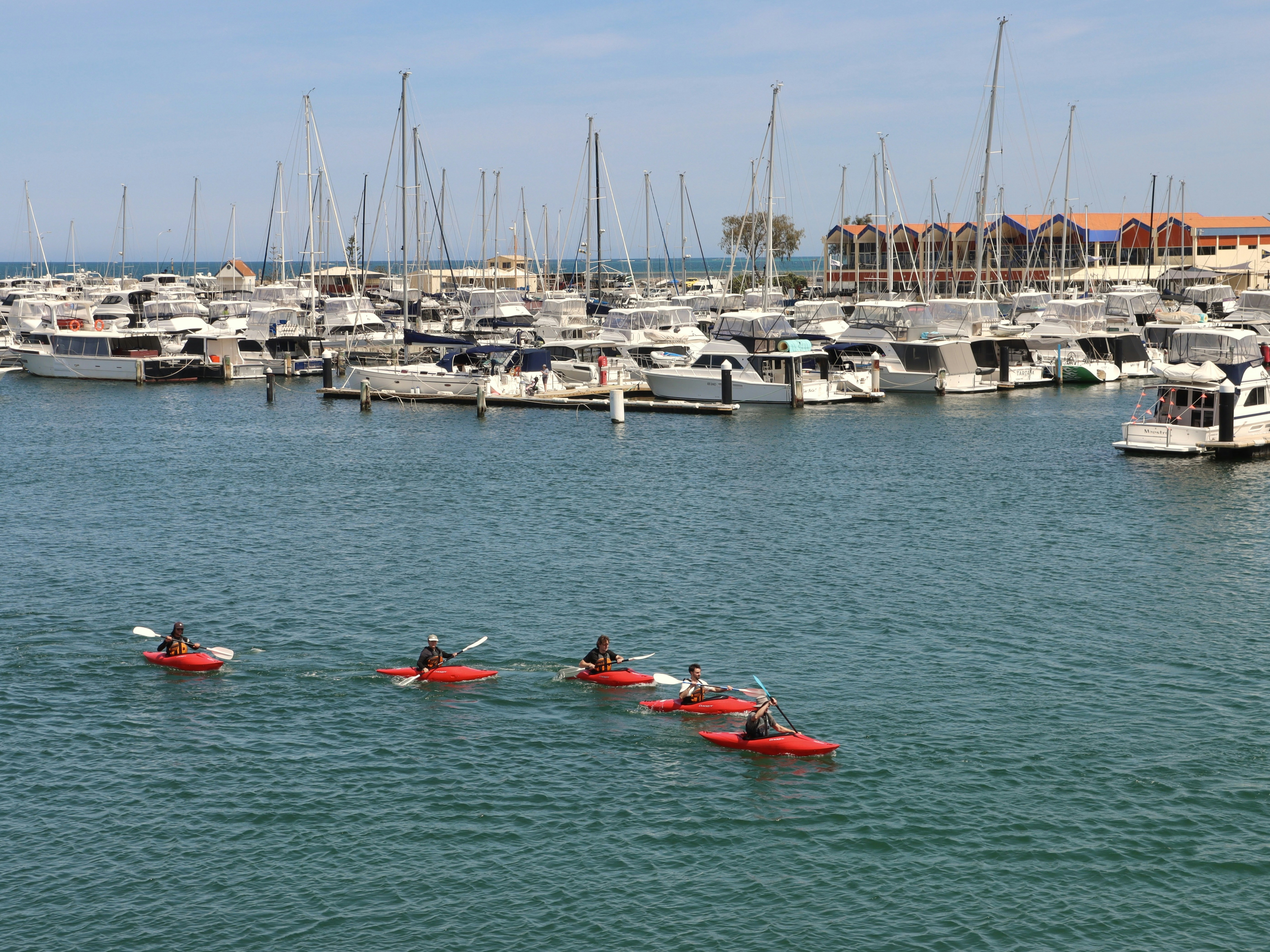 Four red kayaks paddle across a bustling marina with numerous moored boats under a clear sky.