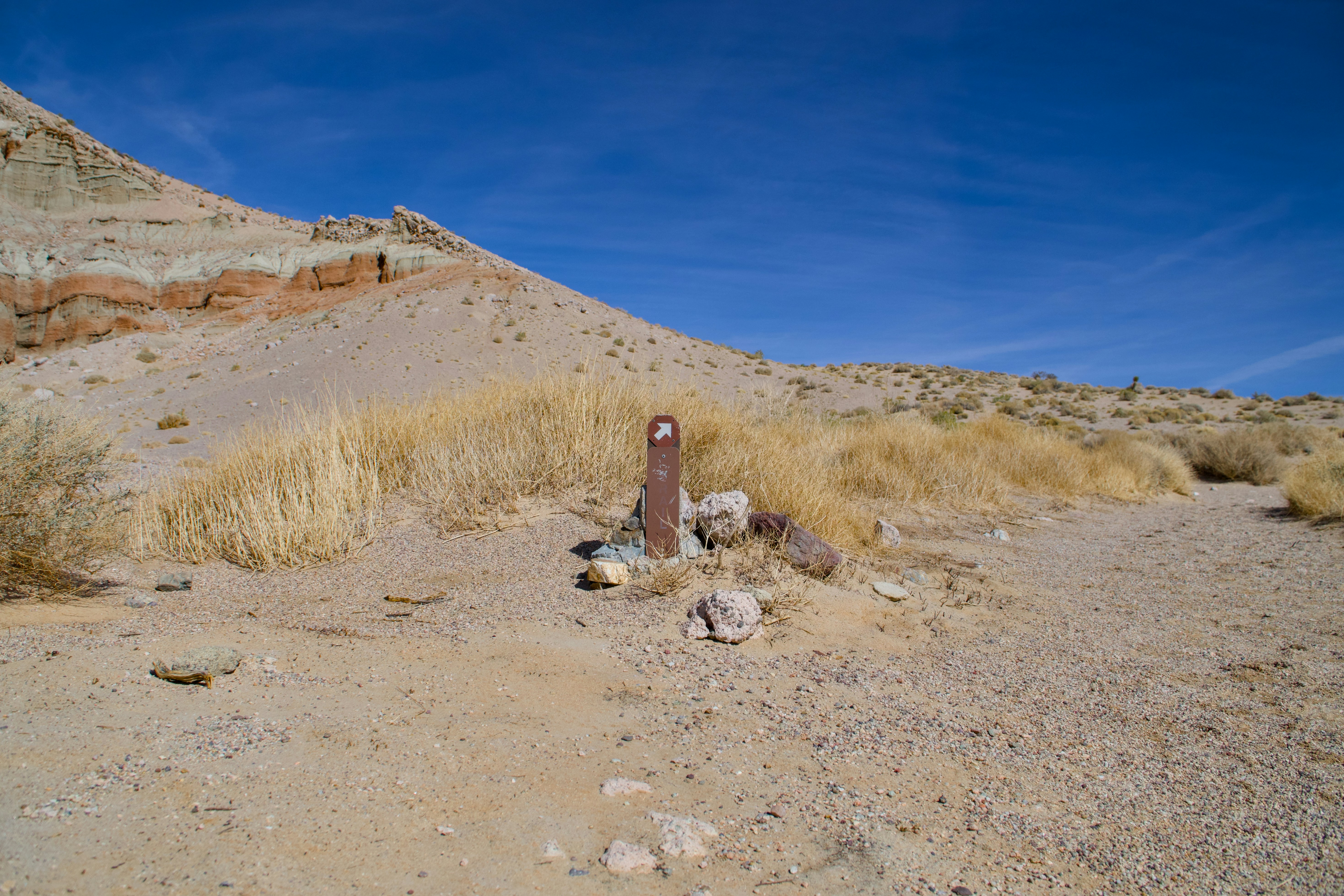 Trail marker amidst dry grasses and rocky terrain under a vivid blue sky.