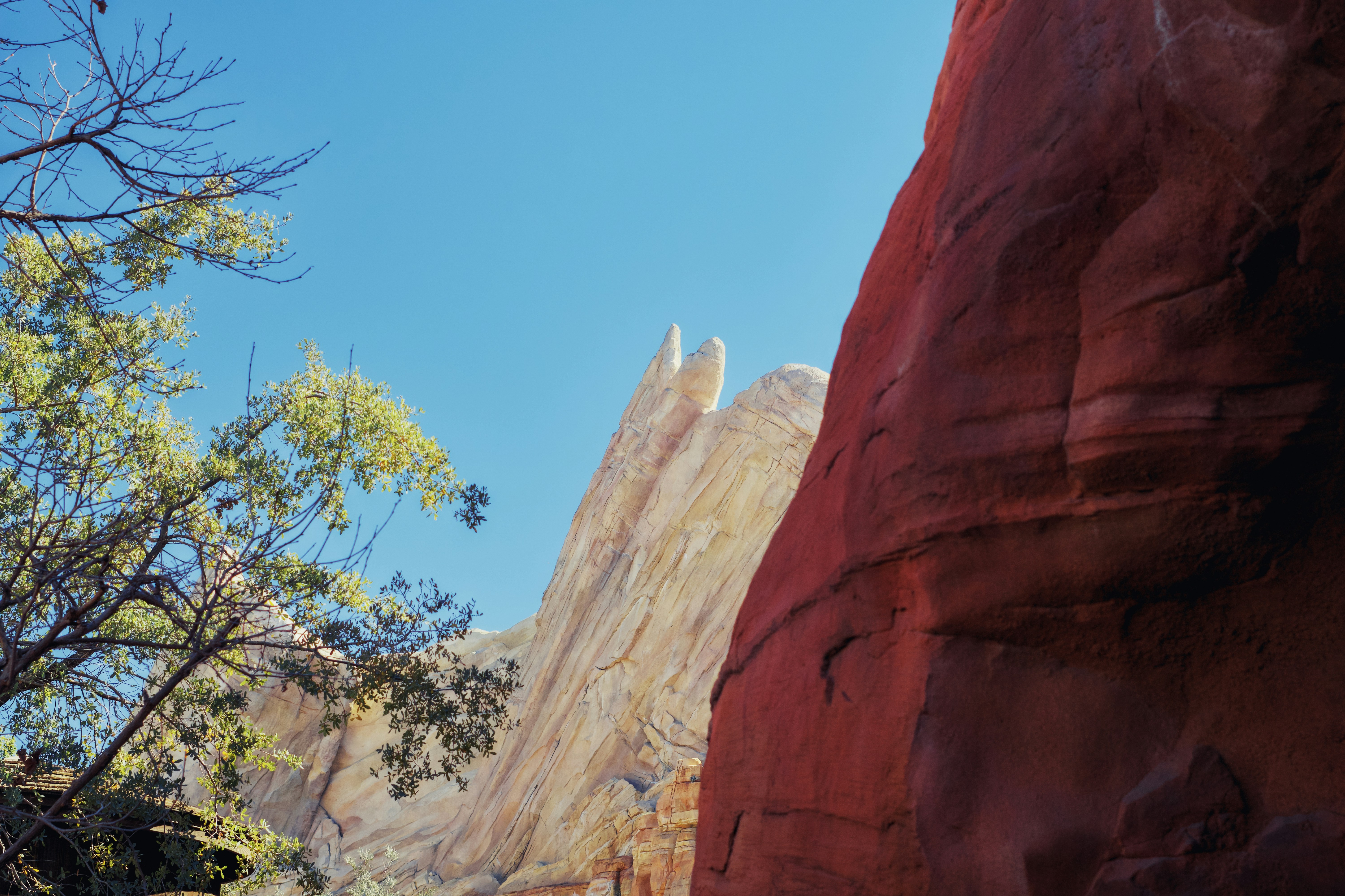 Red rock formations and green foliage under a clear blue sky.