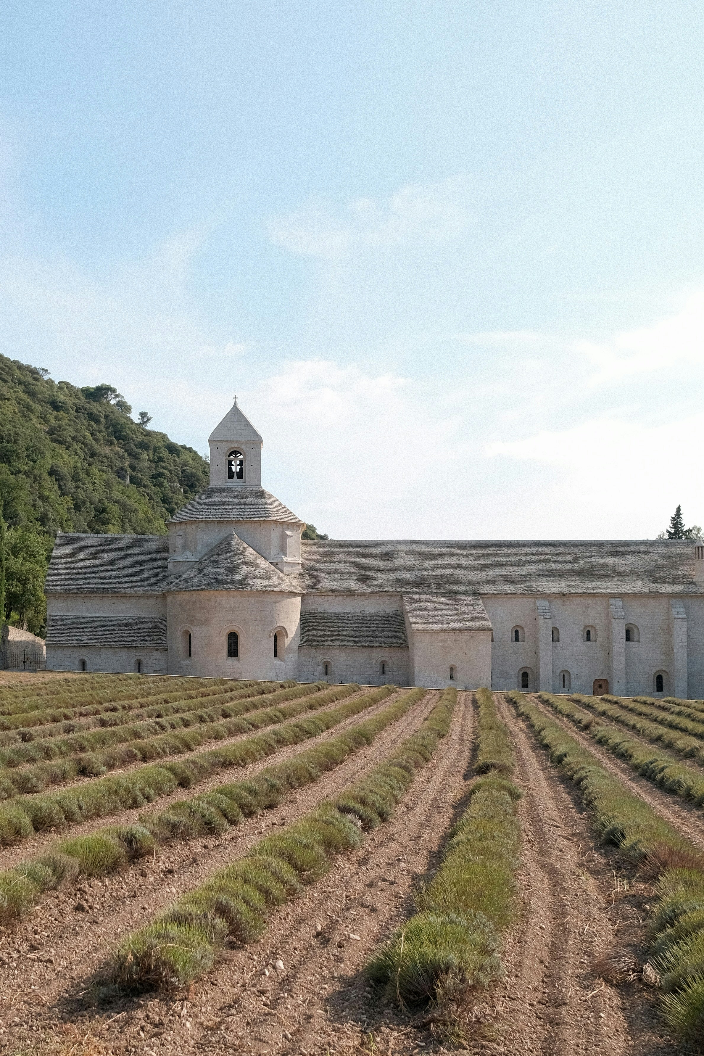 Lavender Rows Lead to a Stone Abbey by the Hill