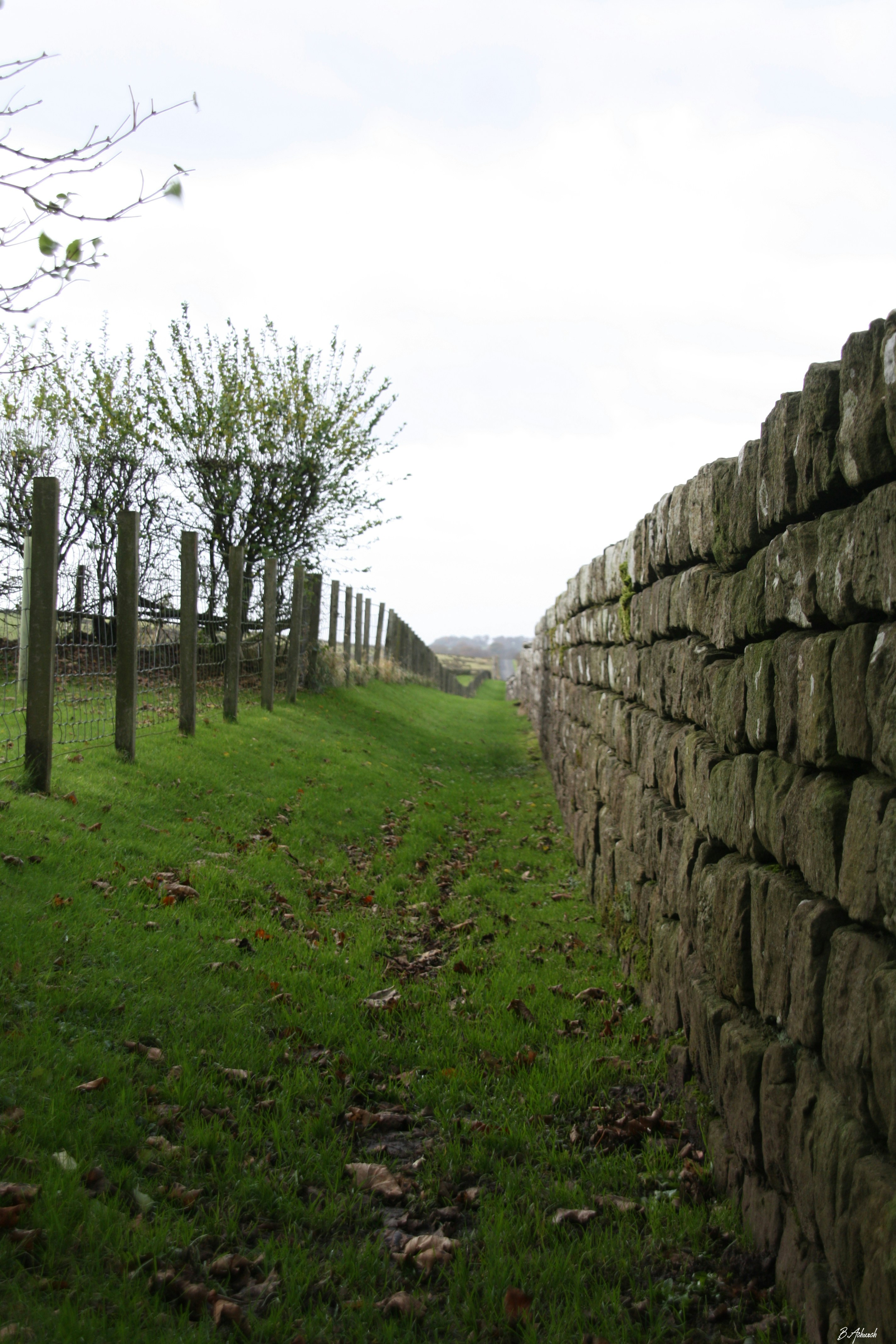 Rural Corridor: A Narrow Path Between Stone and Green