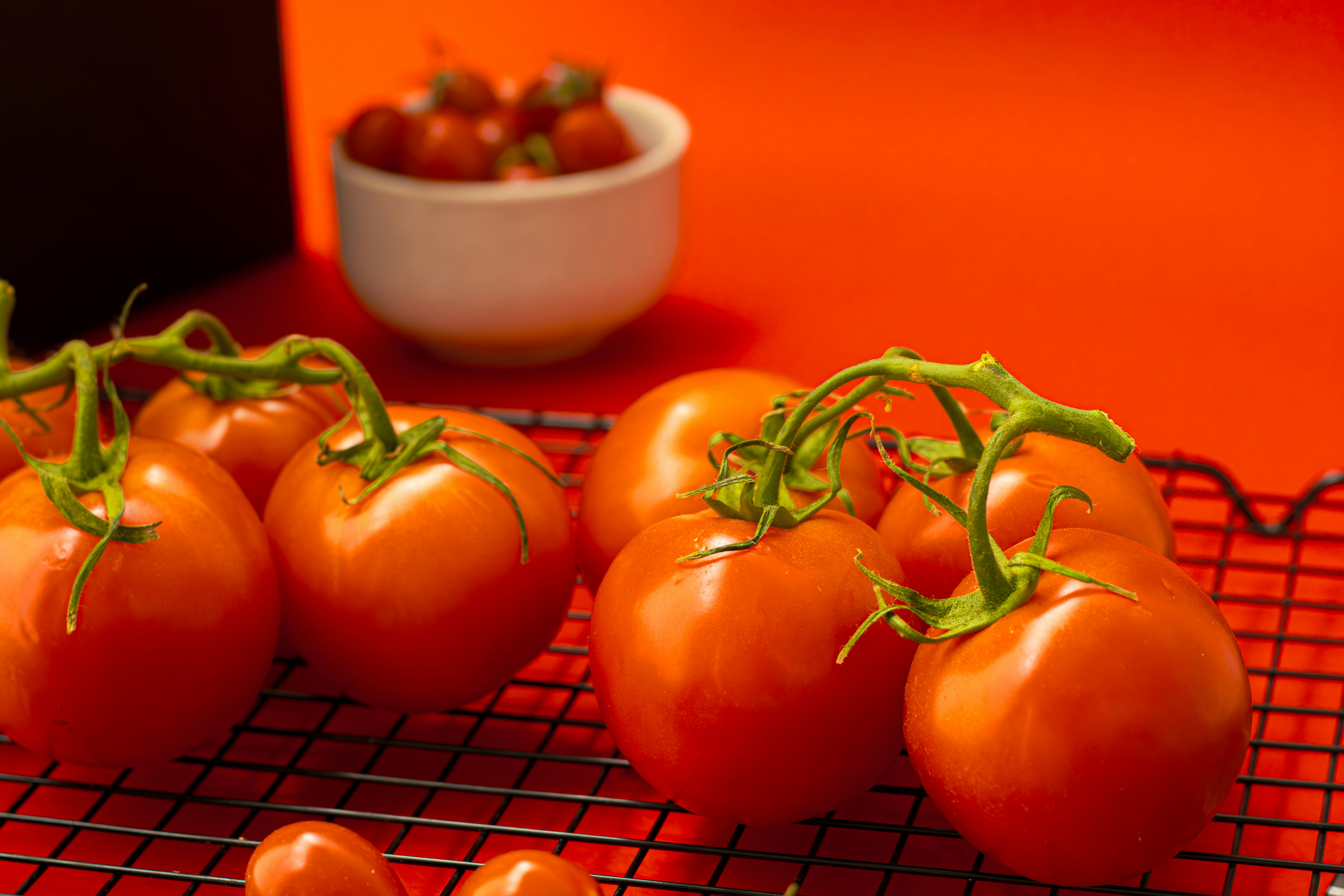Harvest Harmony: A Tomato's Tale