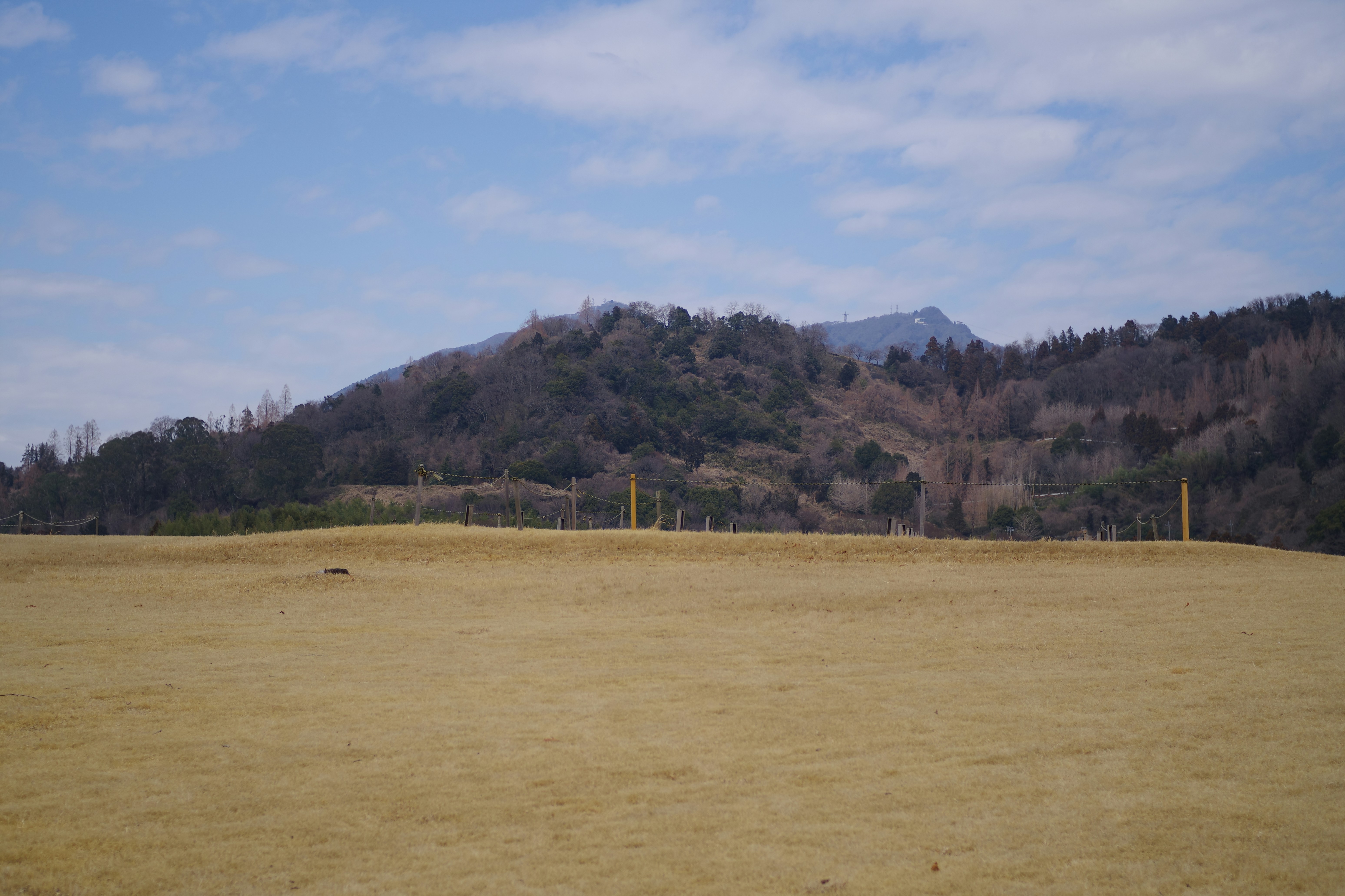 Photo by Naoki Suzuki with Pentax K-3 III