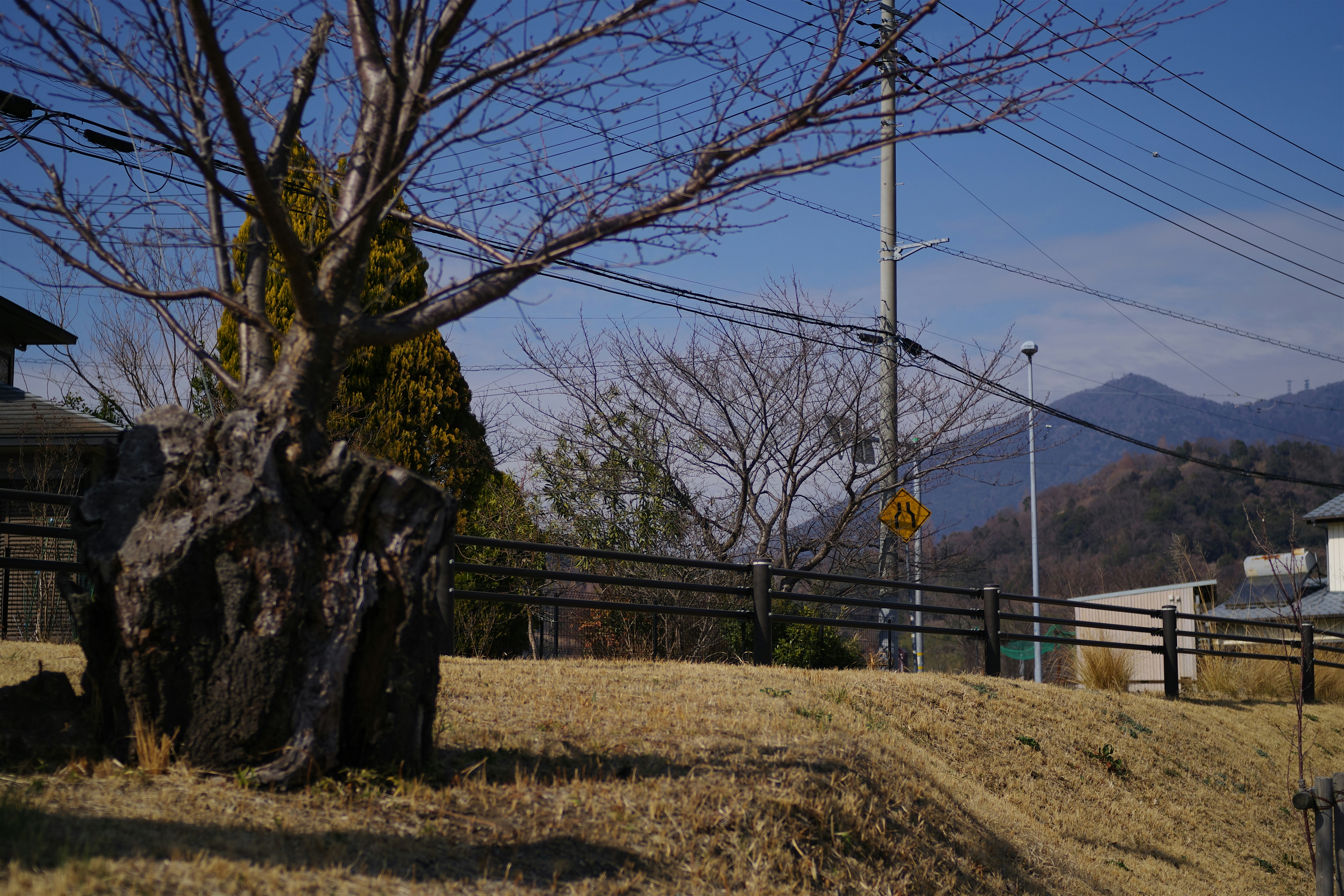 Serenity in Suburban Hills