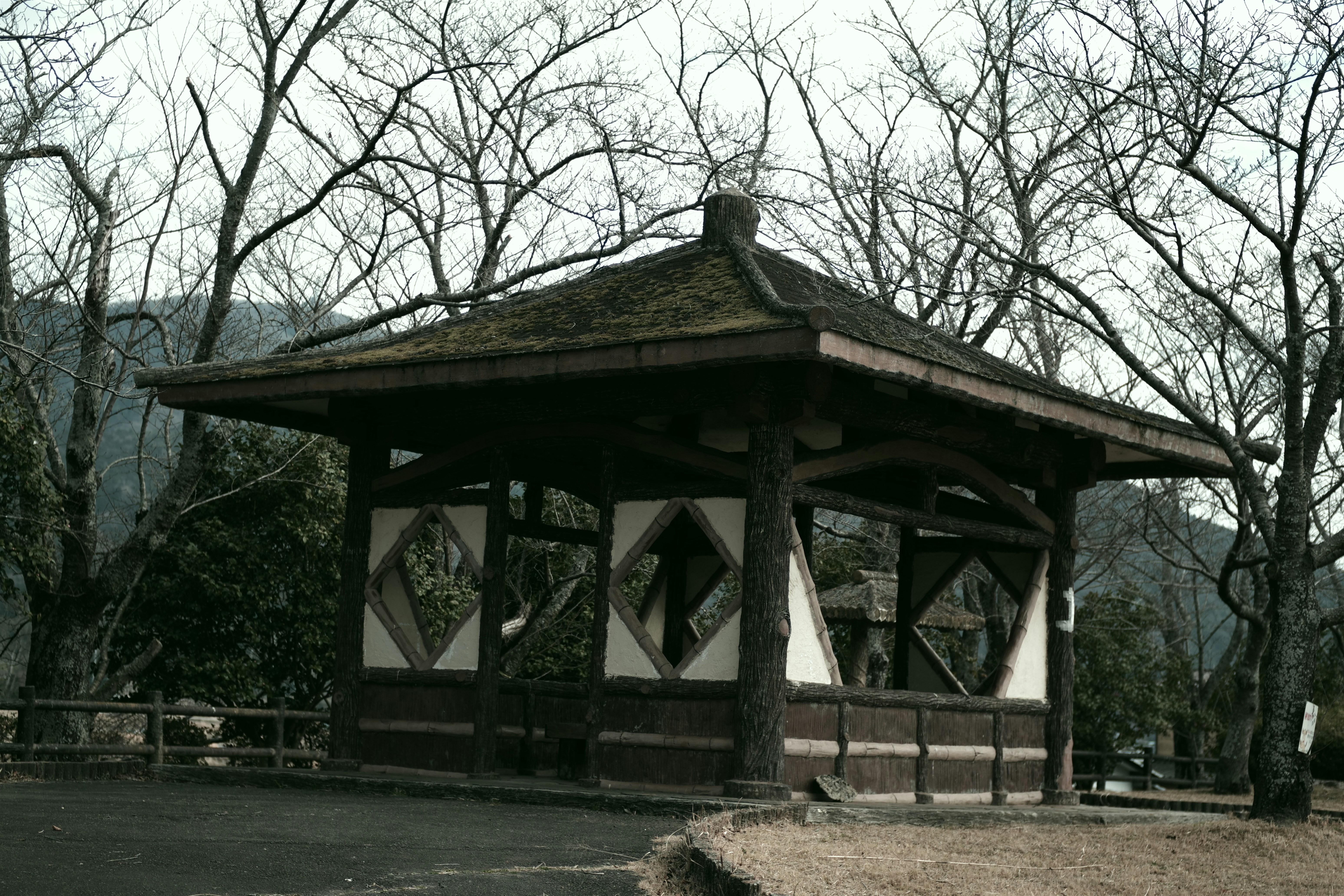 Winter Silence Under a Timber Pavilion