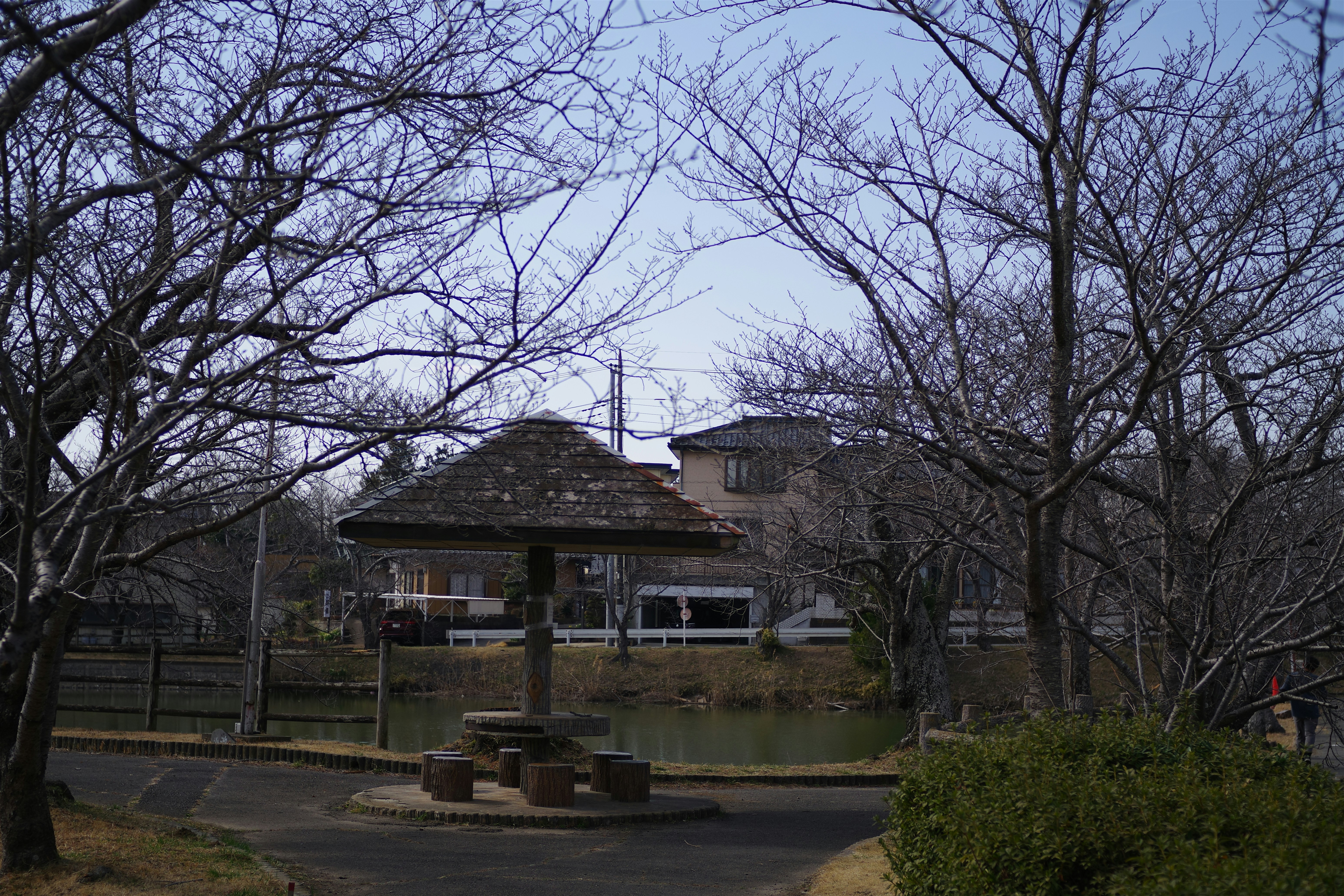 Winter Quiet at the Park Gazebo by the Calm Pond