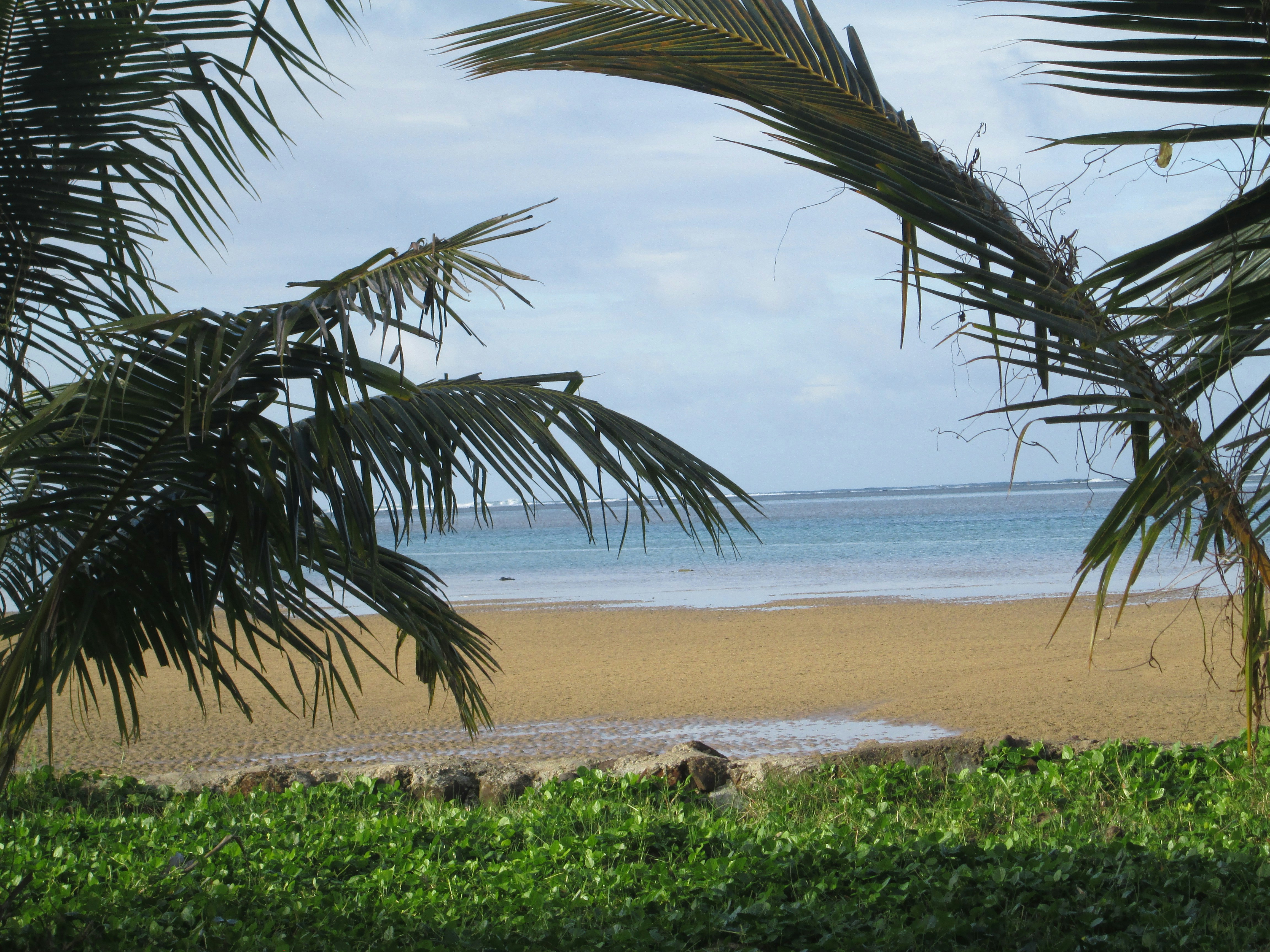 Sandy beach and calm ocean framed by lush palm fronds under a partly cloudy sky.