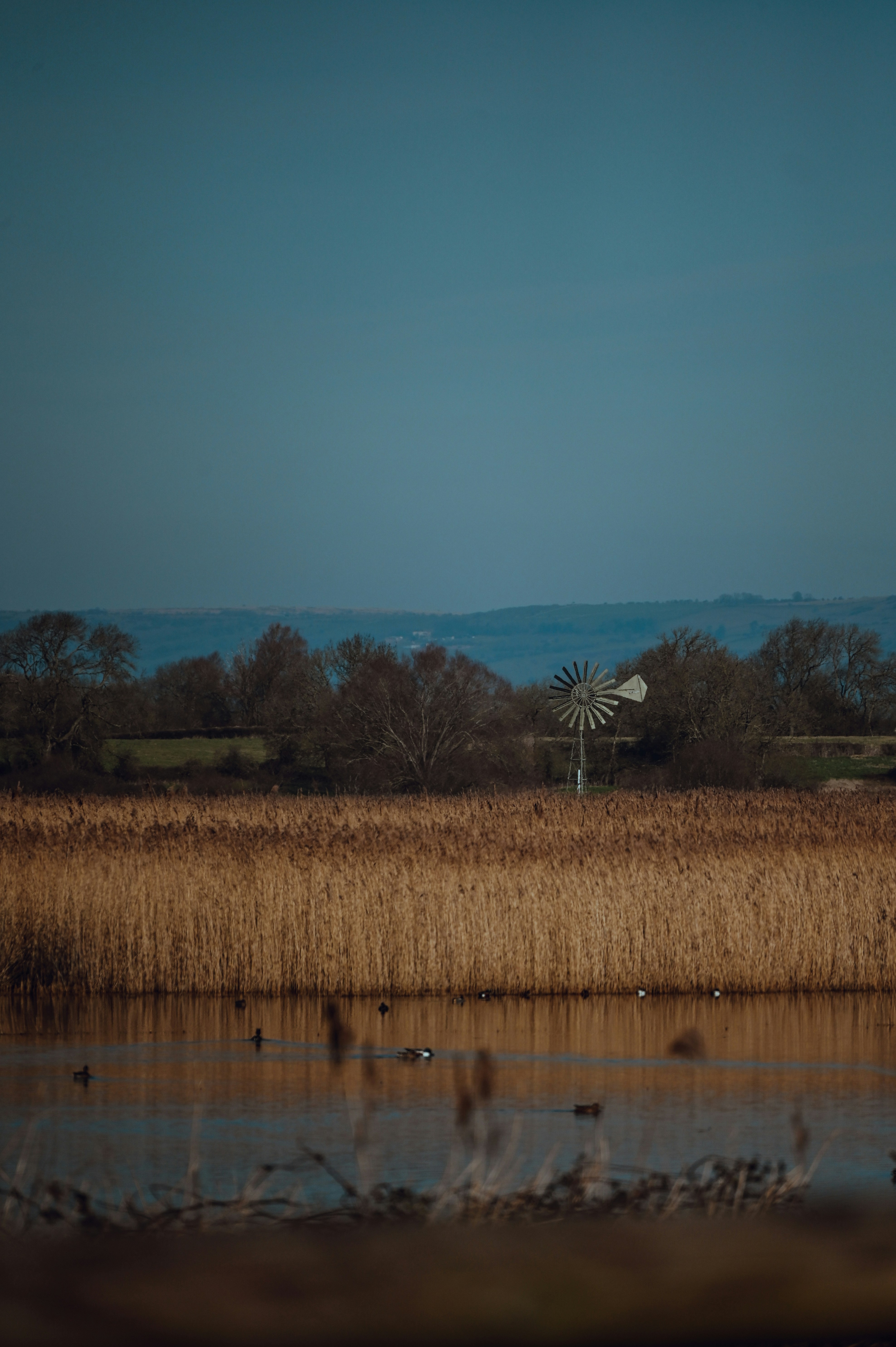 A windmill in a field next to a body of water