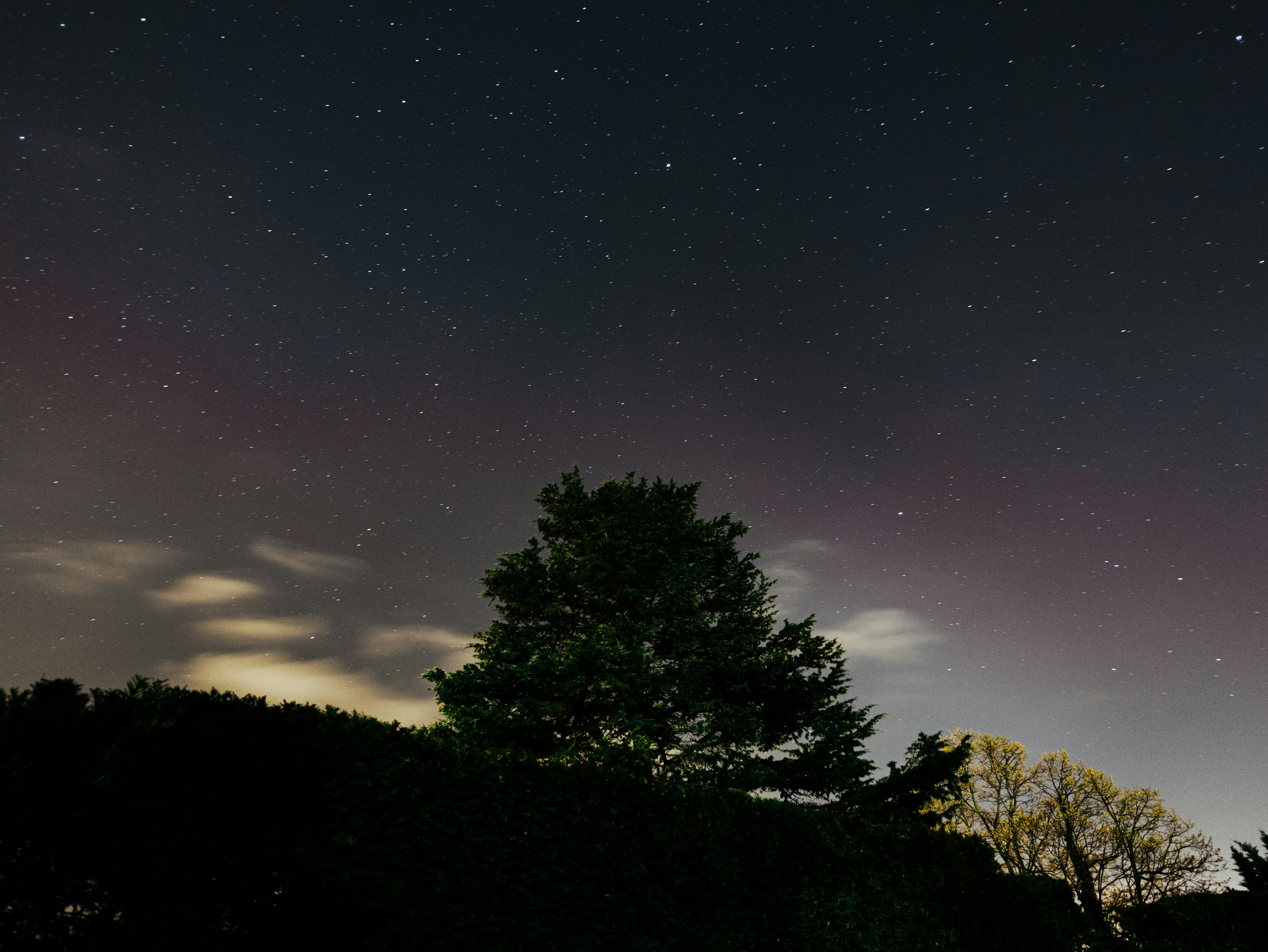 Starry night sky with silhouetted trees and faint clouds illuminated by distant light.
