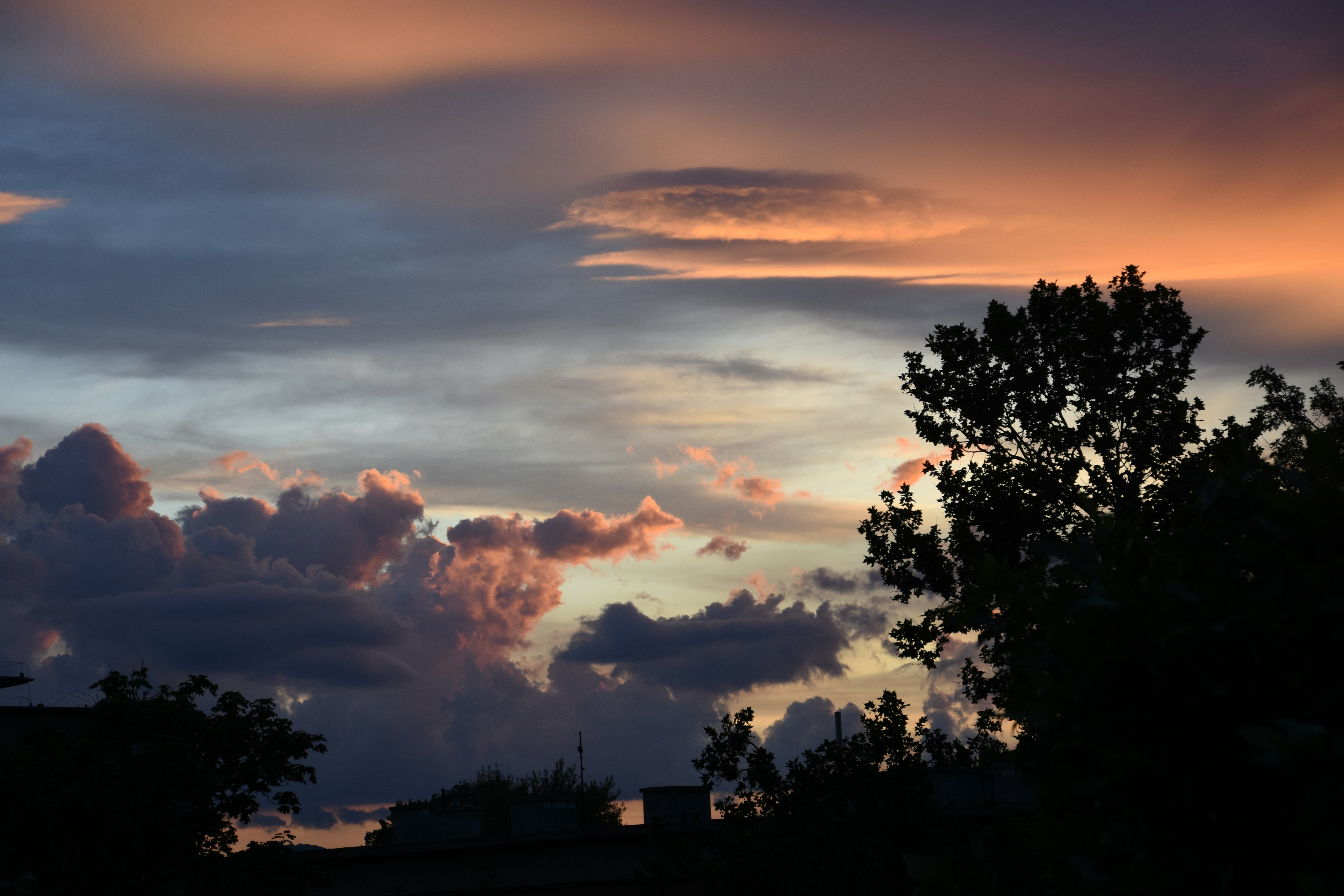 Silhouetted trees against a vibrant sunset with dramatic clouds.
