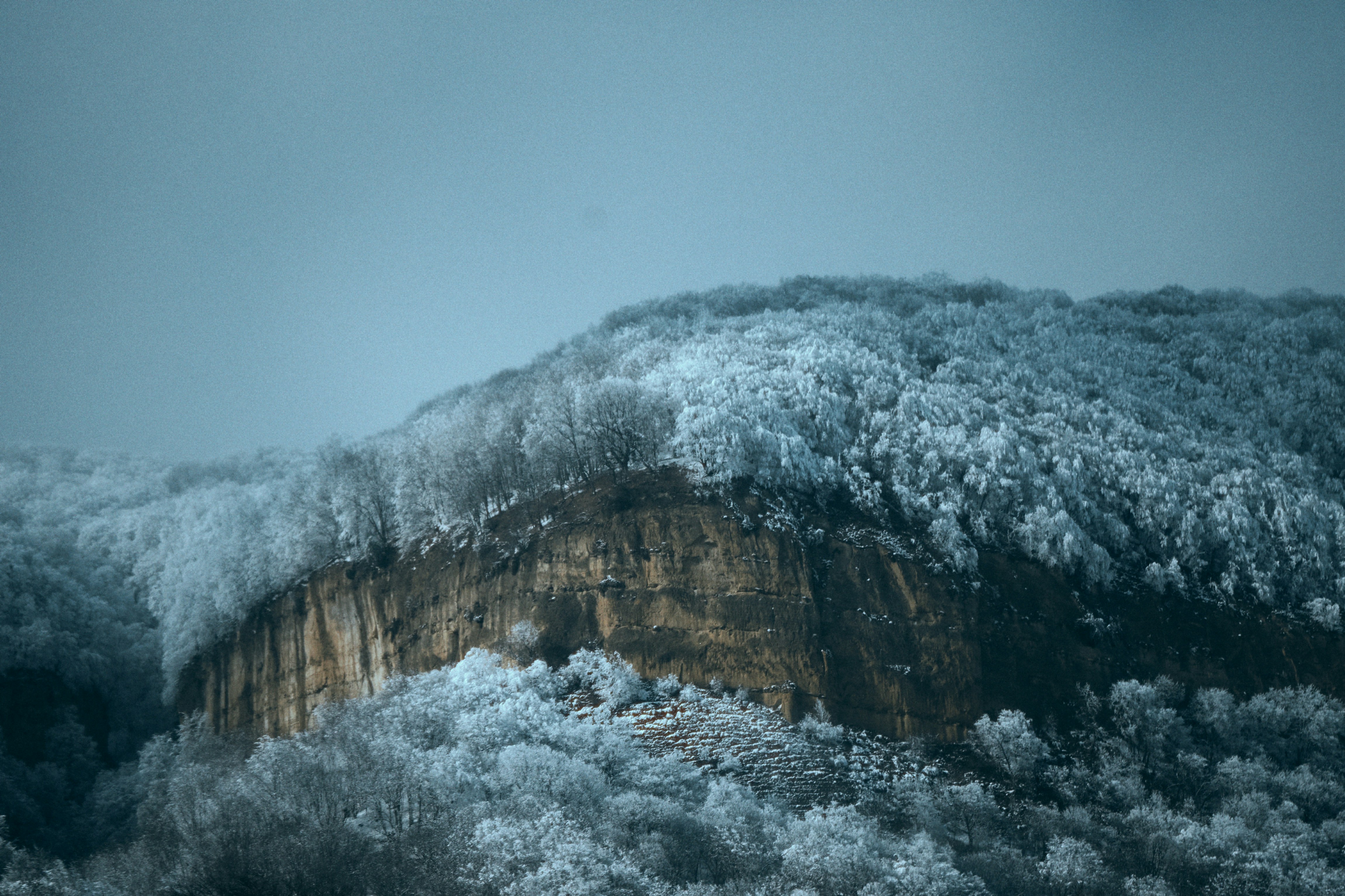 Snow-dusted trees atop a rugged cliff under a wintry sky.