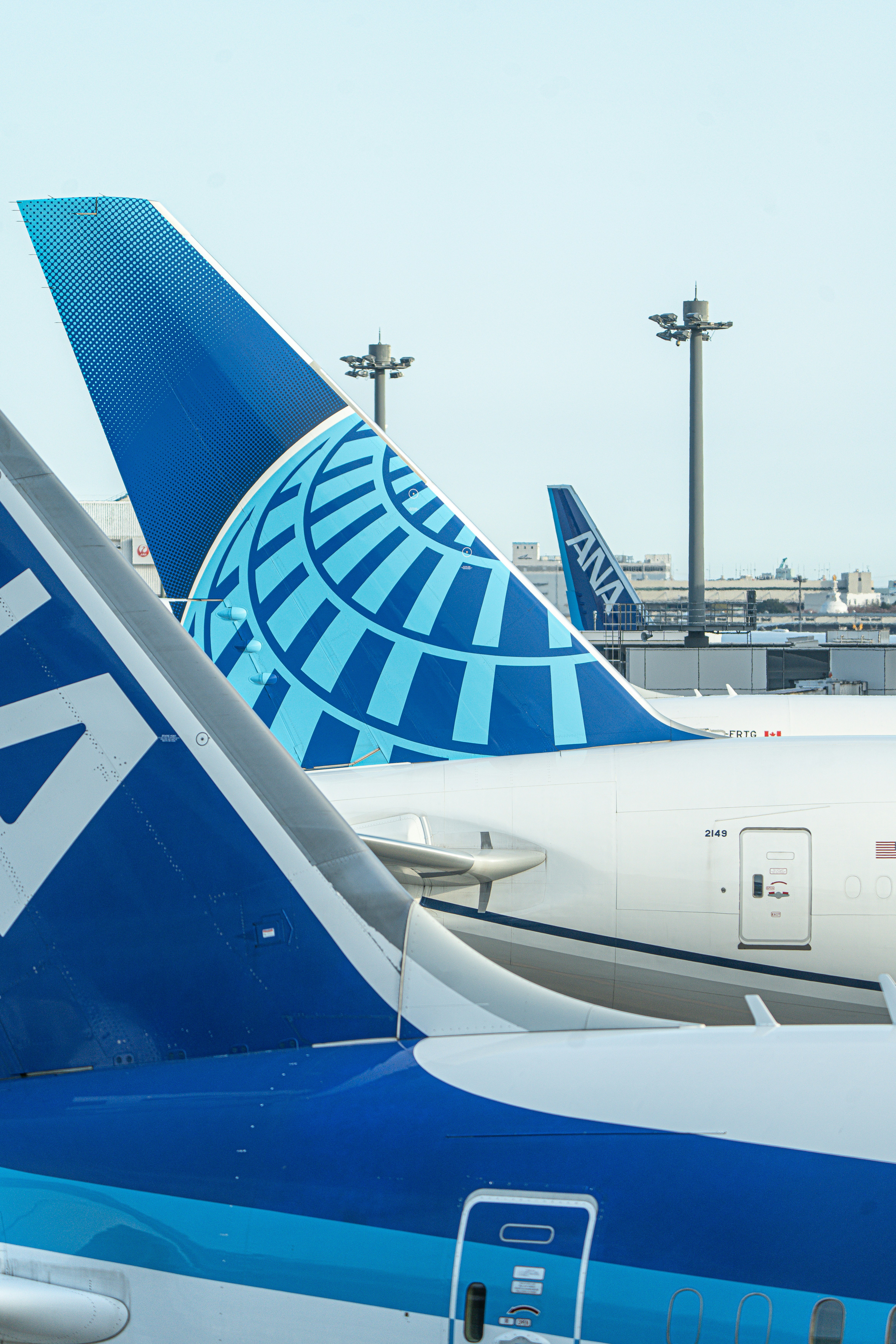 Airplane tail fins lined up at an airport terminal, showcasing contrasting blue designs against a clear sky.