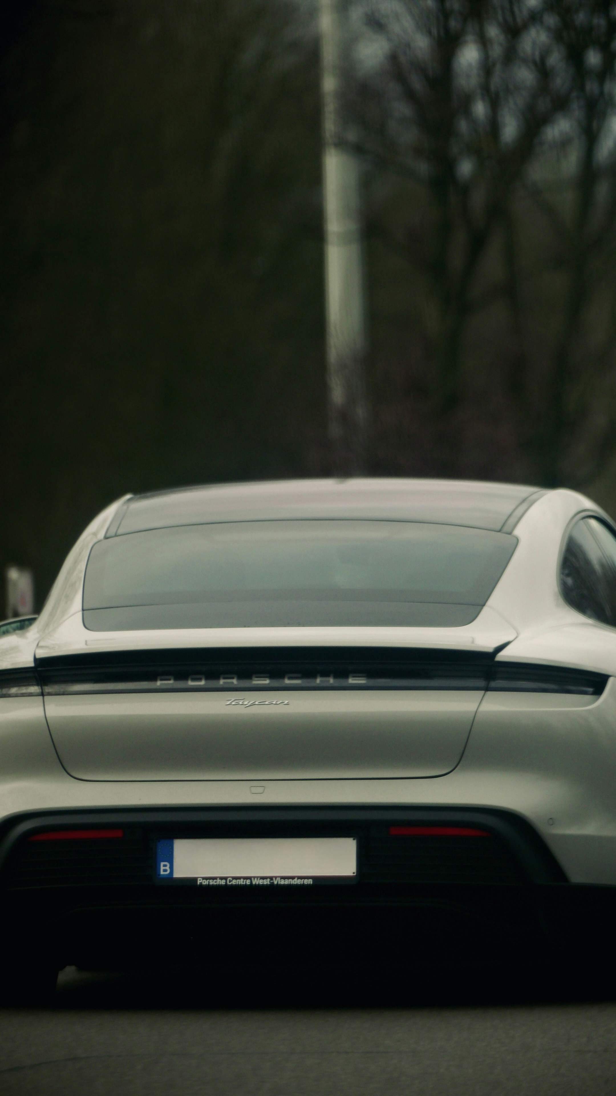Rear View Reverie: Porsche Taycan on a Dim Tree-Lined Road