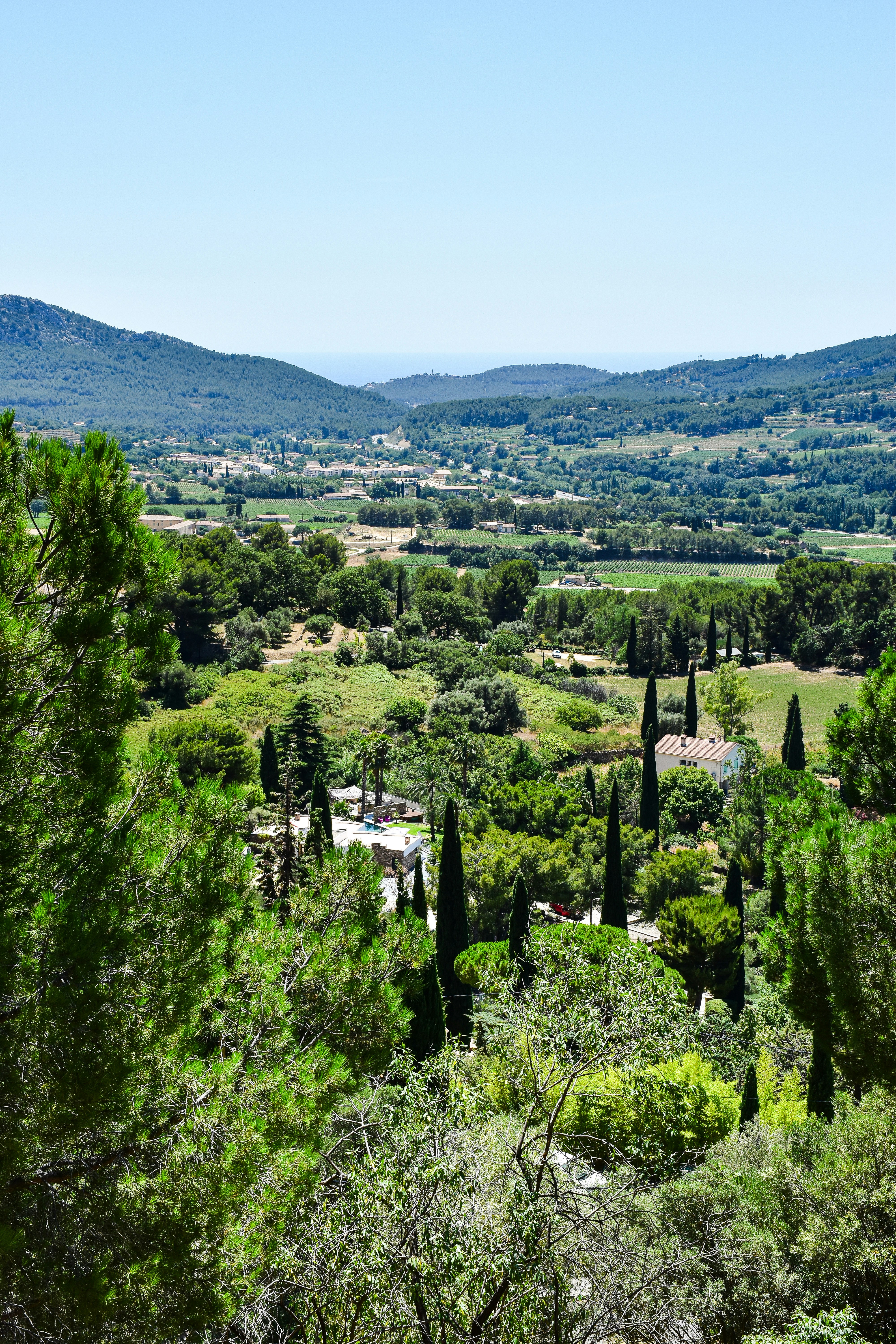 A scenic view of a valley with trees and mountains in the background ...