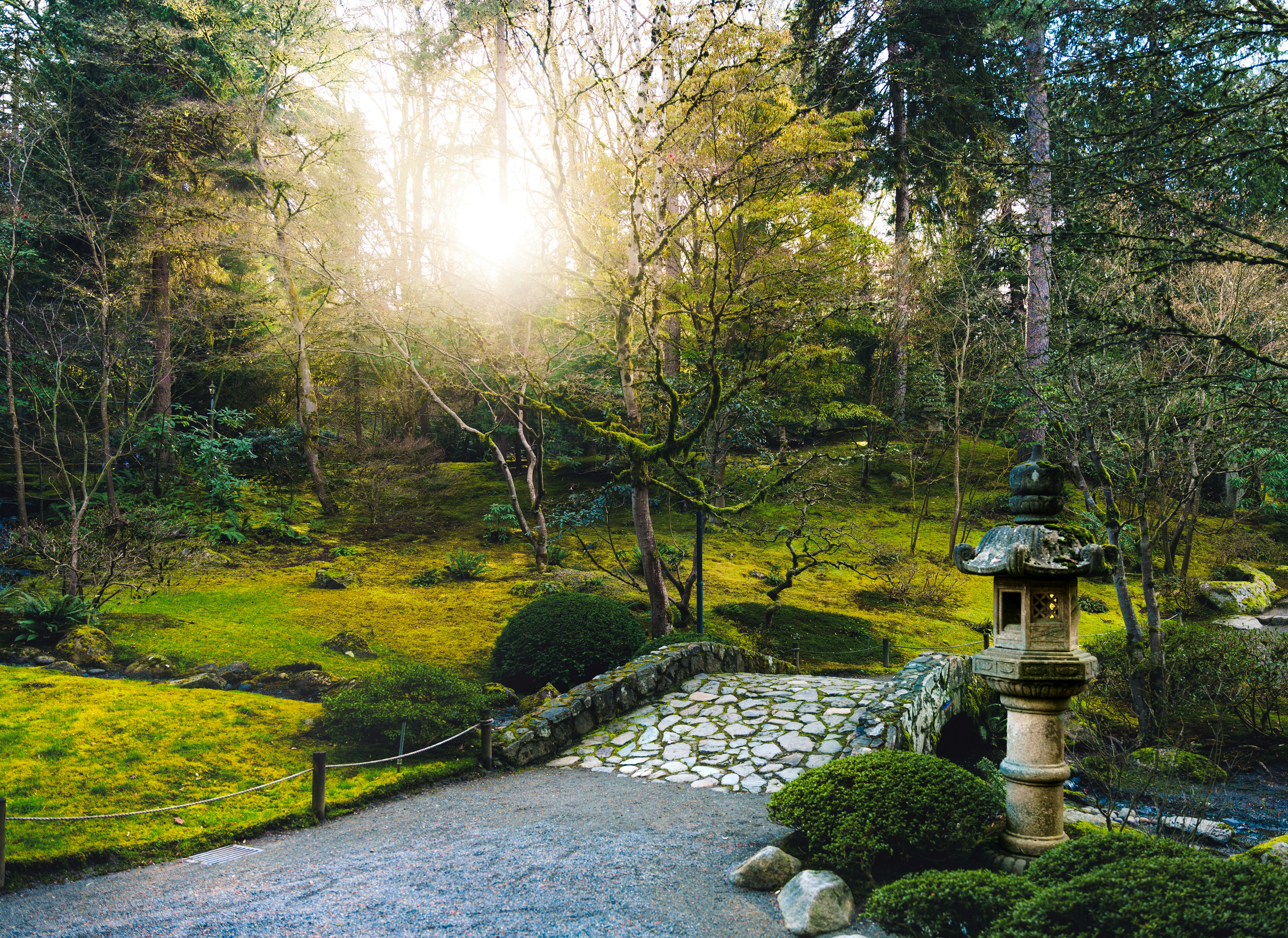 Whispering Shadows of the Emerald GardenXimin Lin