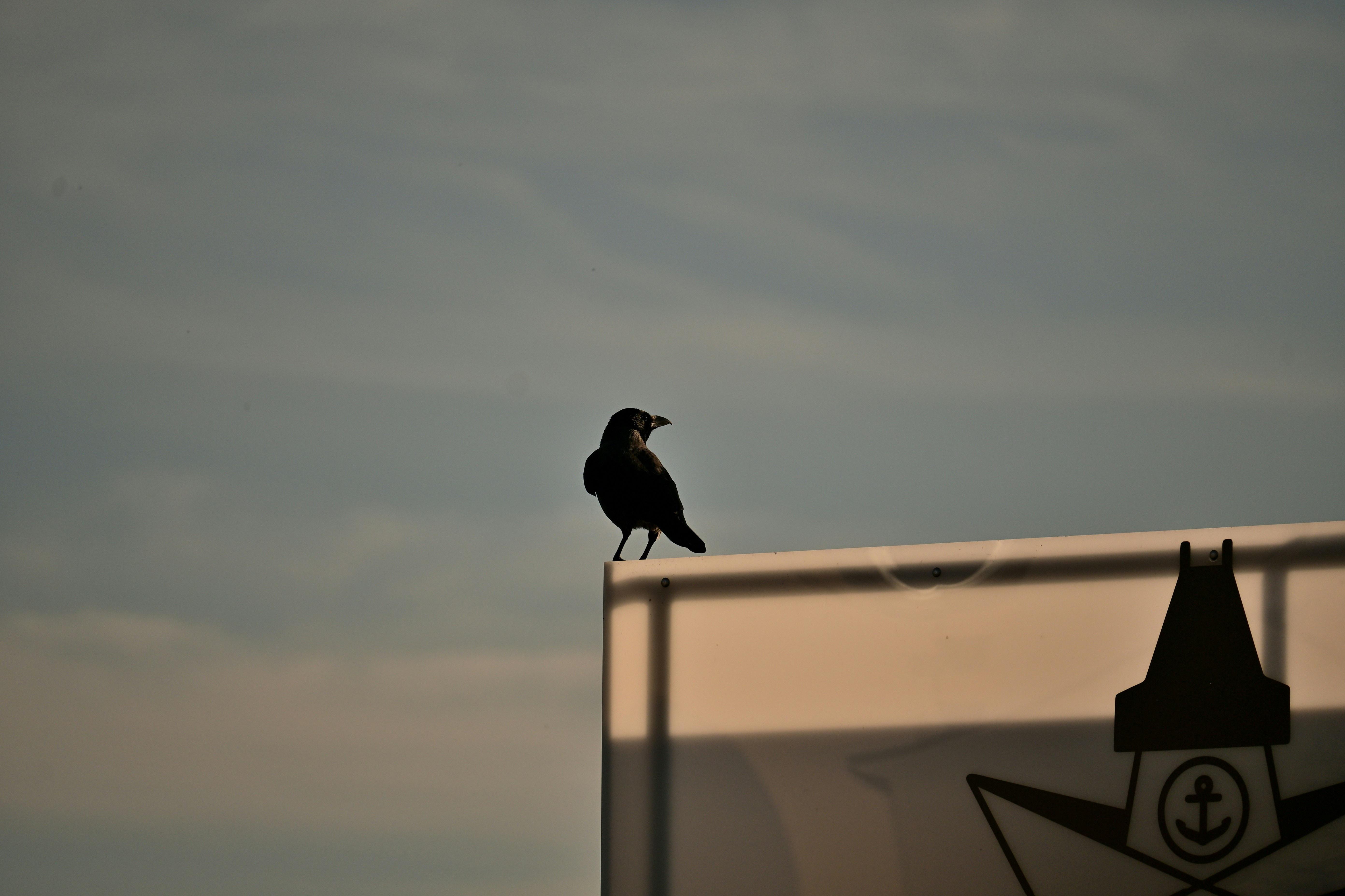 Silhouette of a crow perched on a sign against a softly lit sky.