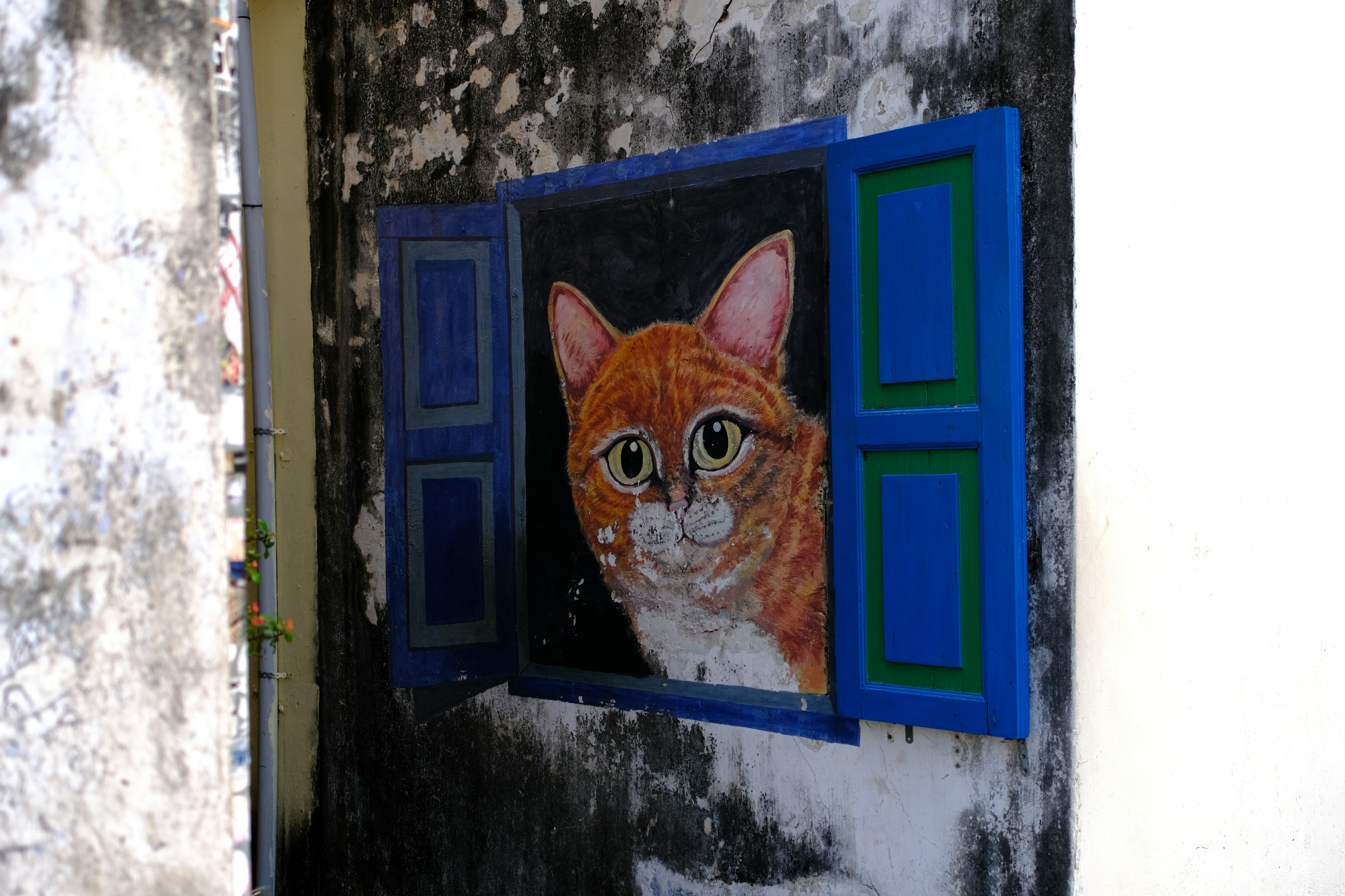 Painted cat peering out from a blue-framed window against a weathered wall.