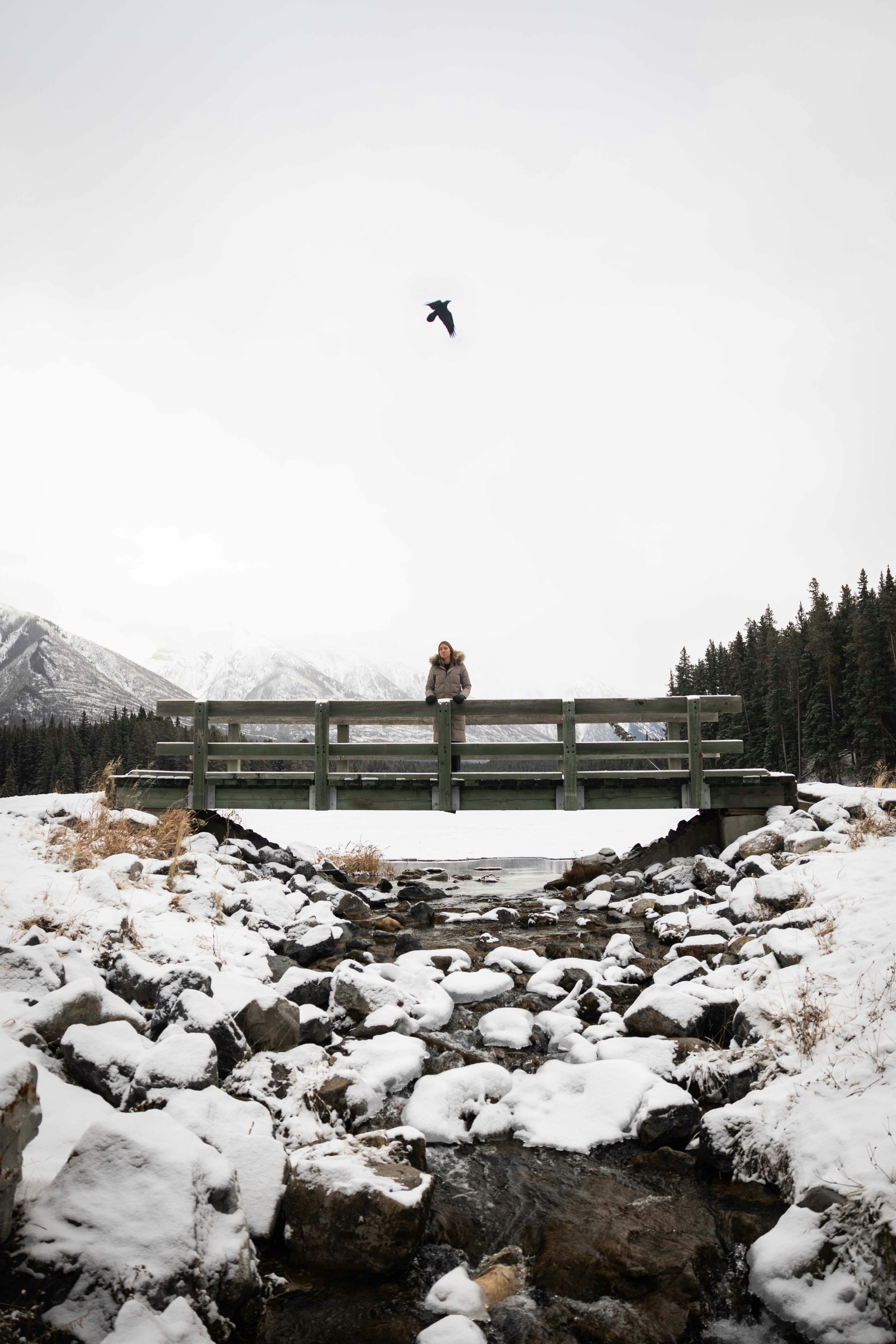 Lone Figure on a Snow-Dusted Bridge Beneath a Soaring Bird