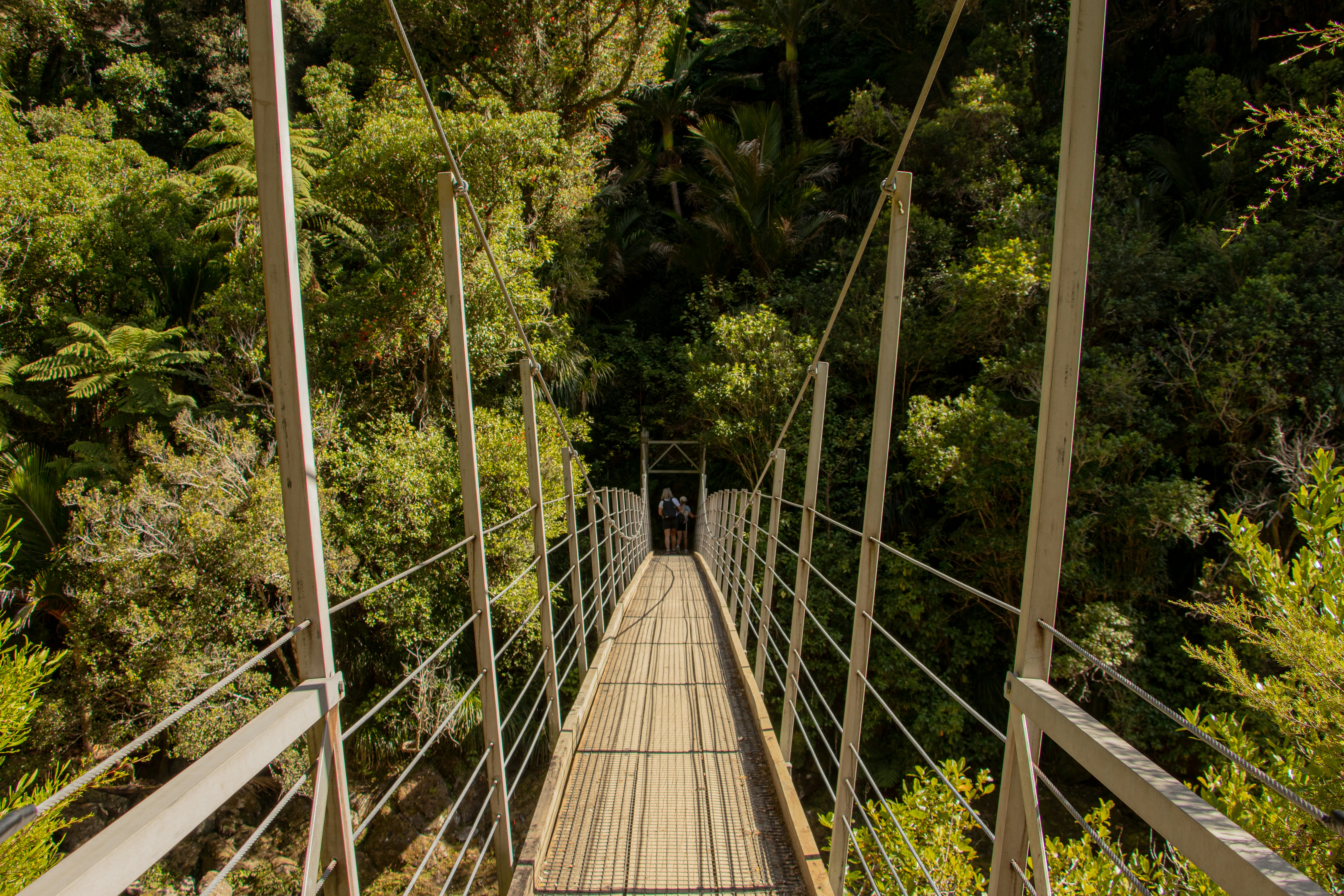 Suspension bridge stretches over lush green forest with two people walking towards the opposite end.