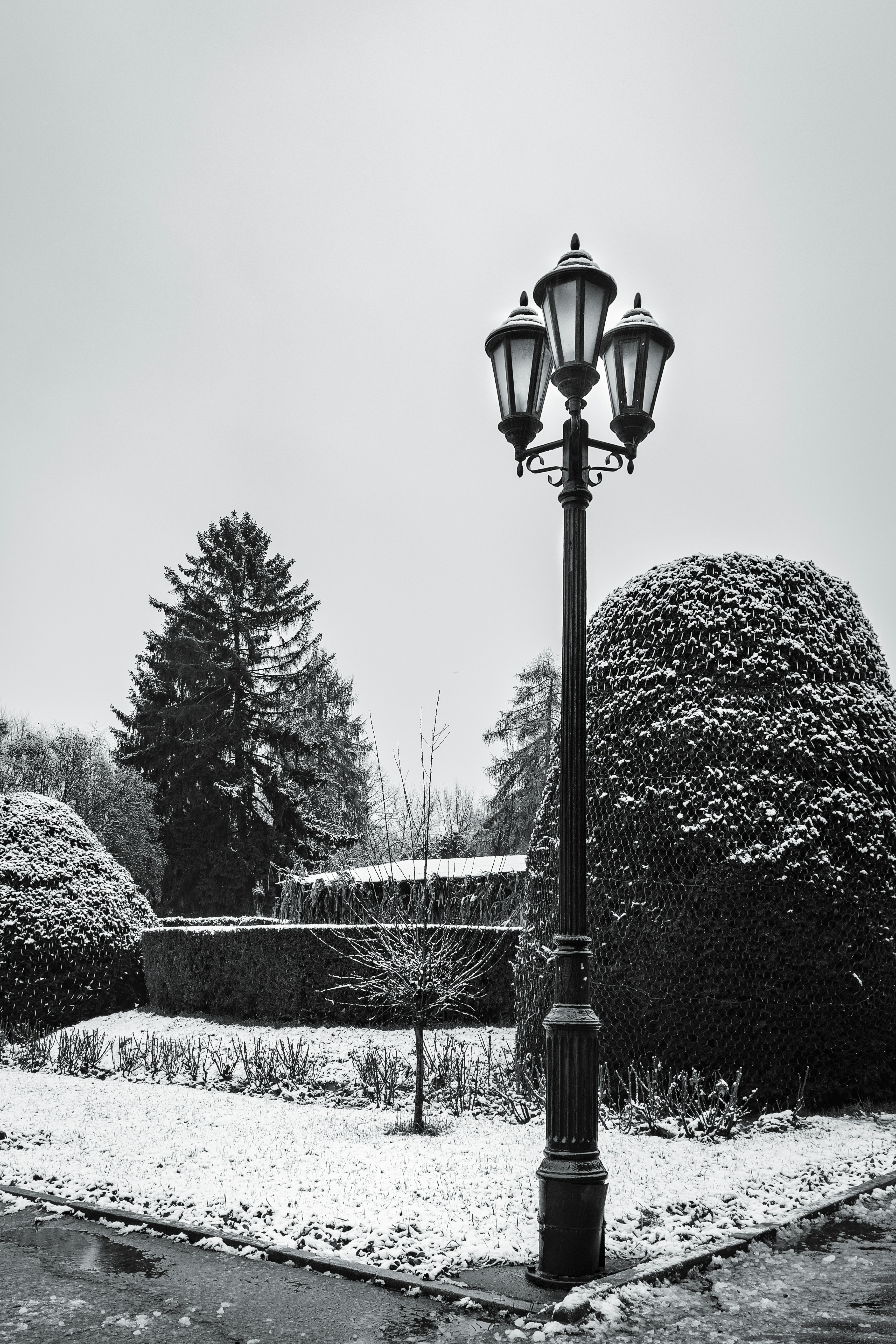 Midwinter Beacon: A Vintage Streetlamp Stands Against Snowy Silence