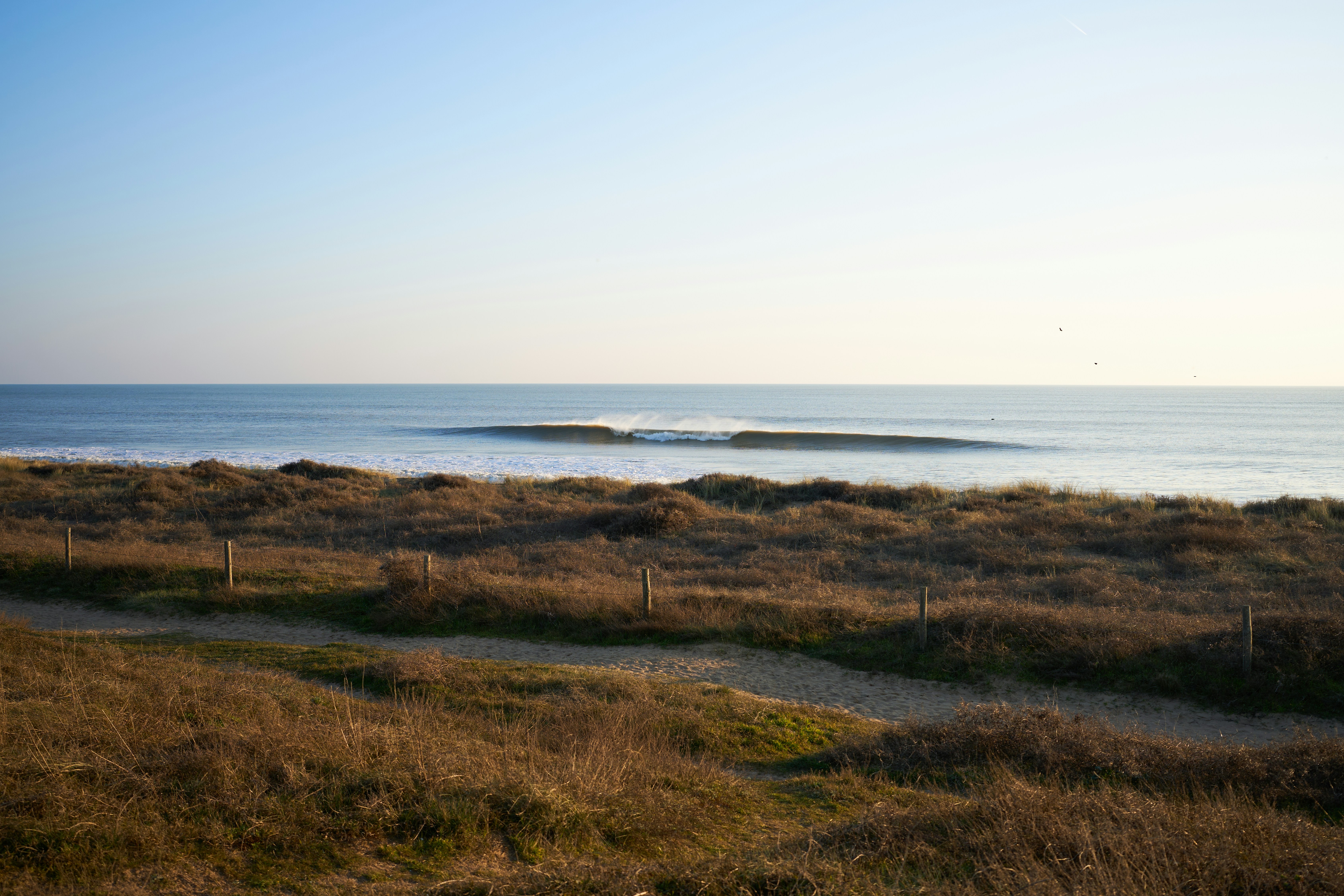 Serenity of the Silent Surf