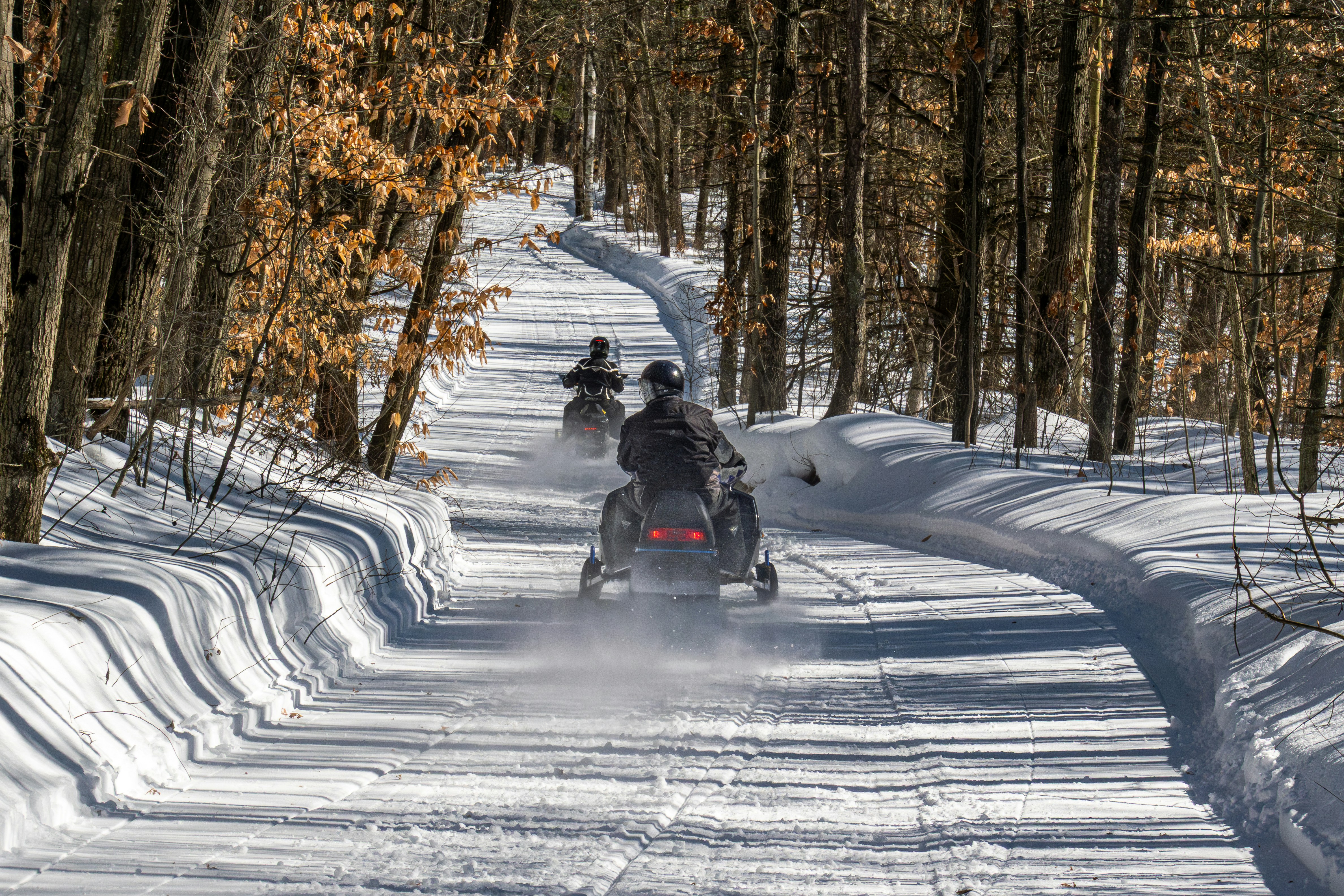 Snowmobilers traverse a sunlit snowy trail flanked by bare trees.