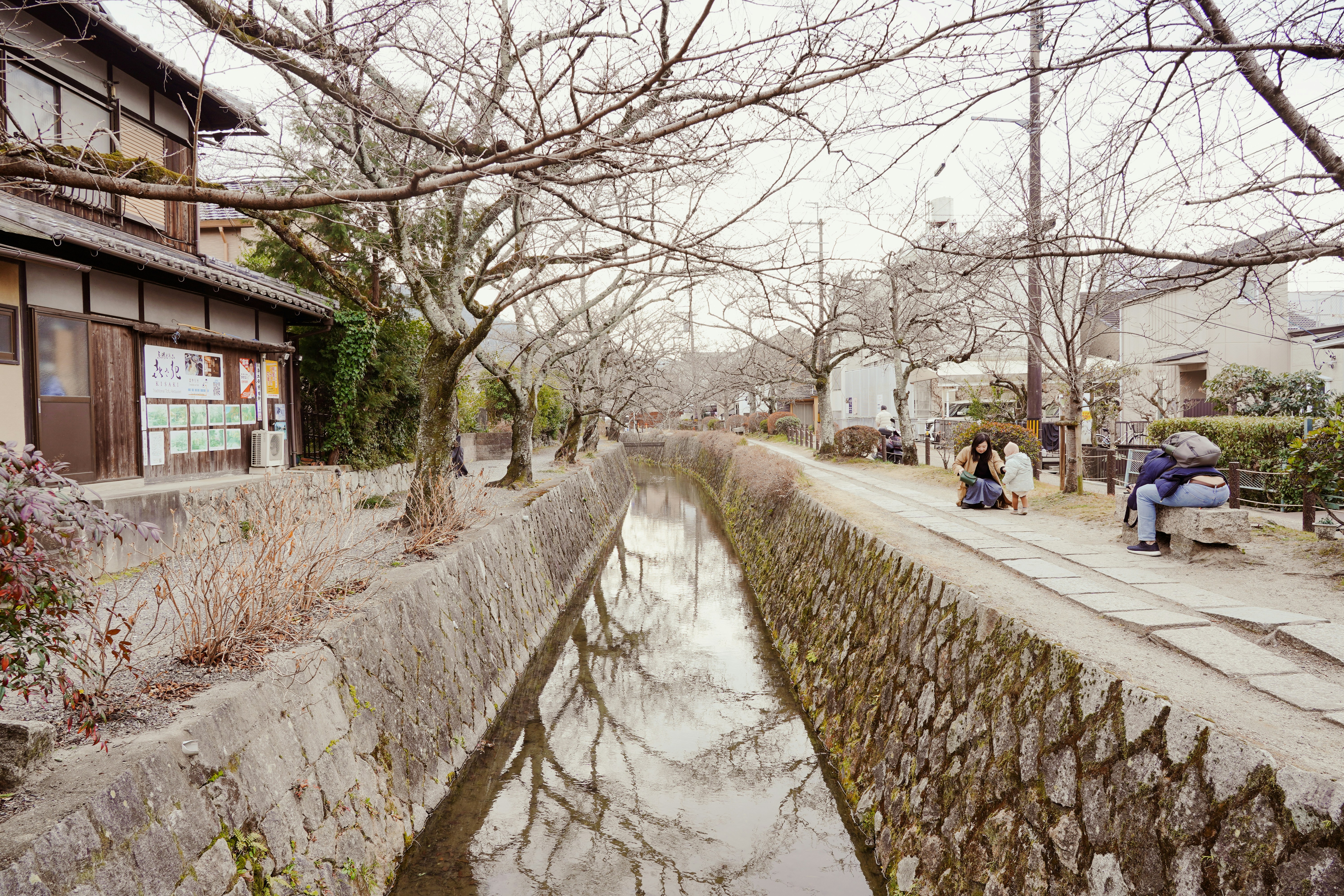 Leafless trees arch over a tranquil canal bordered by stone paths in a quiet village.