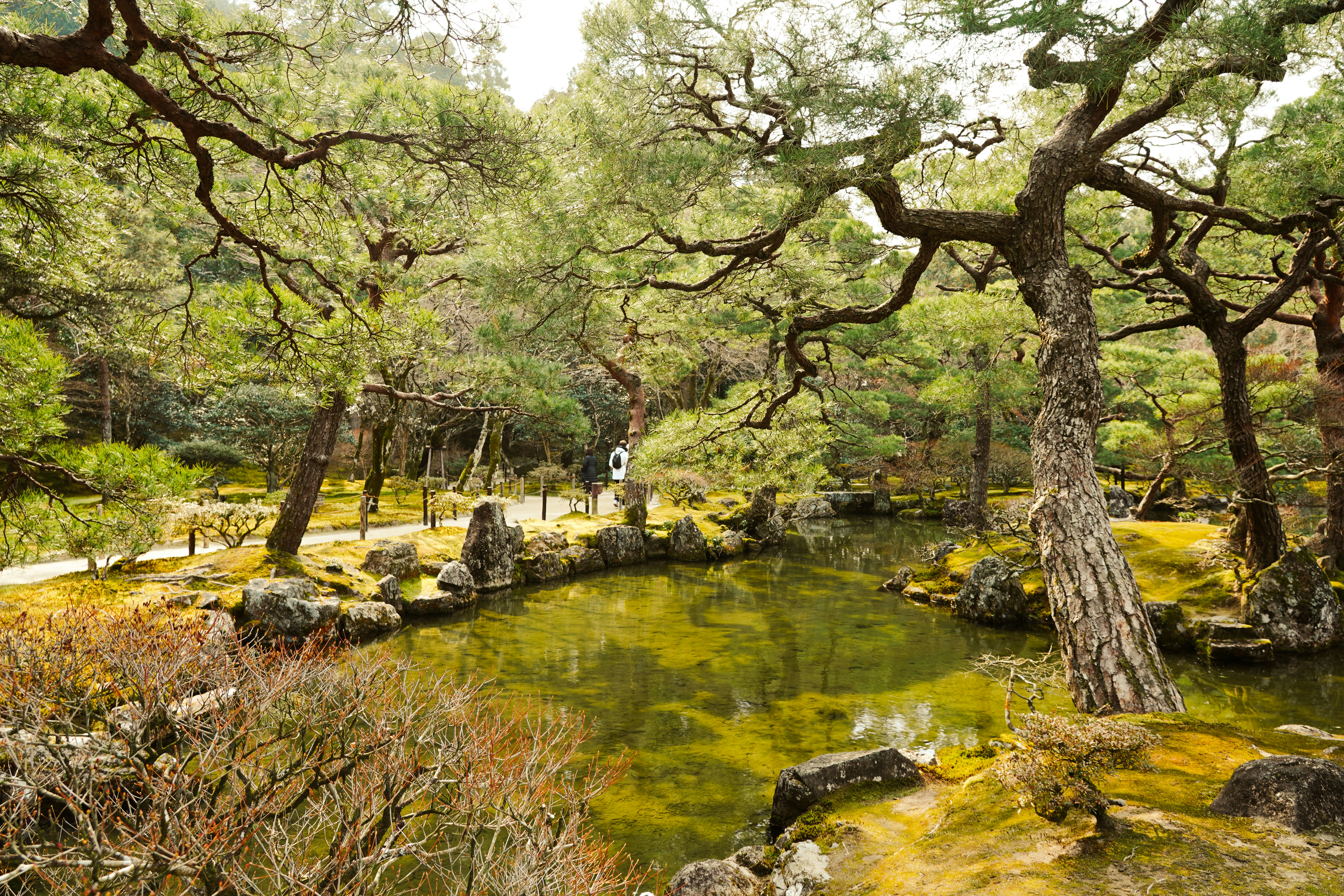 A small pond surrounded by trees and rocks photo – Free Forest Image on ...