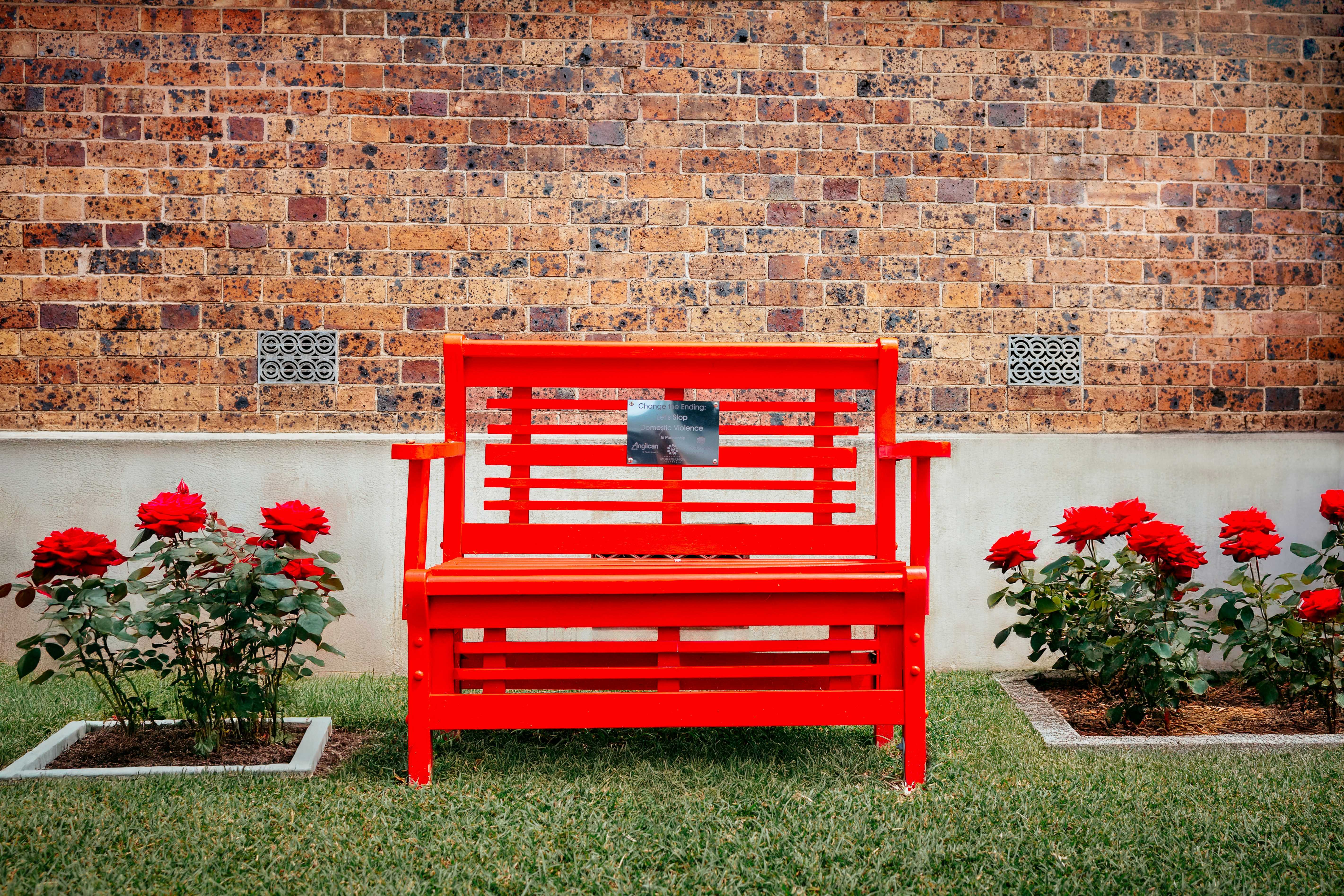 Vibrant Serenity Against a Brick Canvas