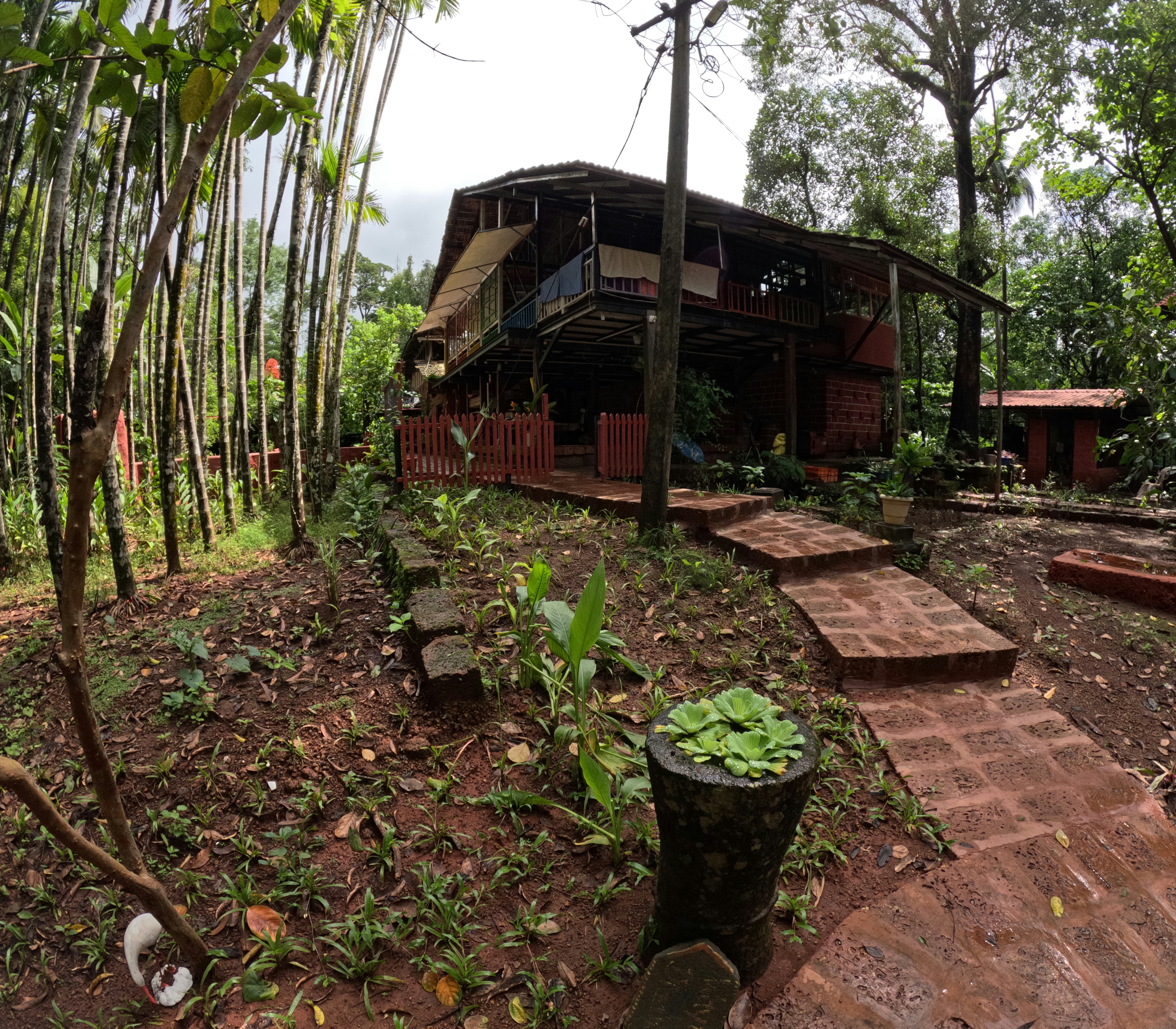 Wooden house surrounded by lush greenery and a path leading through a garden with tall bamboo trees.