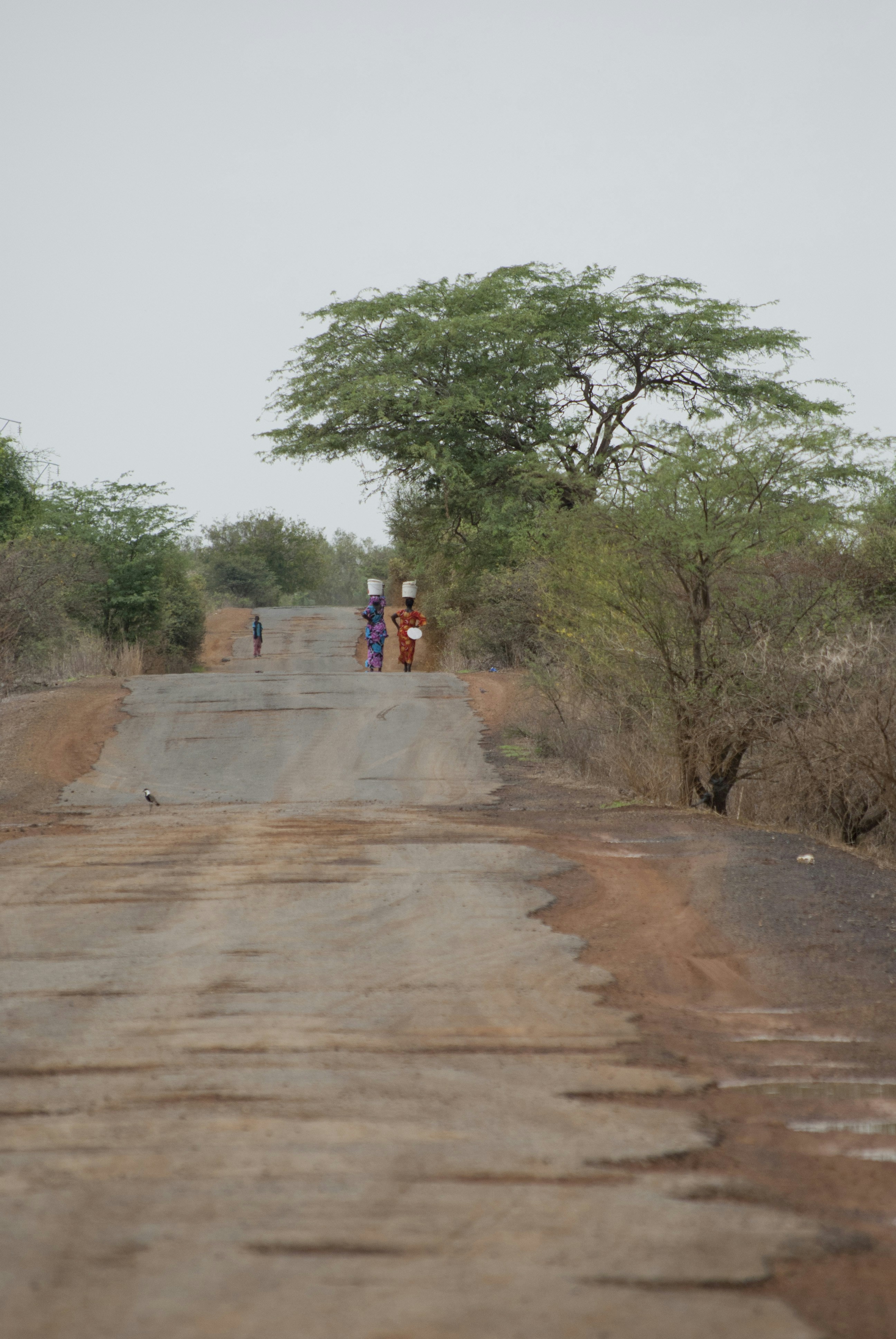 Two women carrying water containers walk along a winding dirt road lined with sparse vegetation under a cloudy sky.