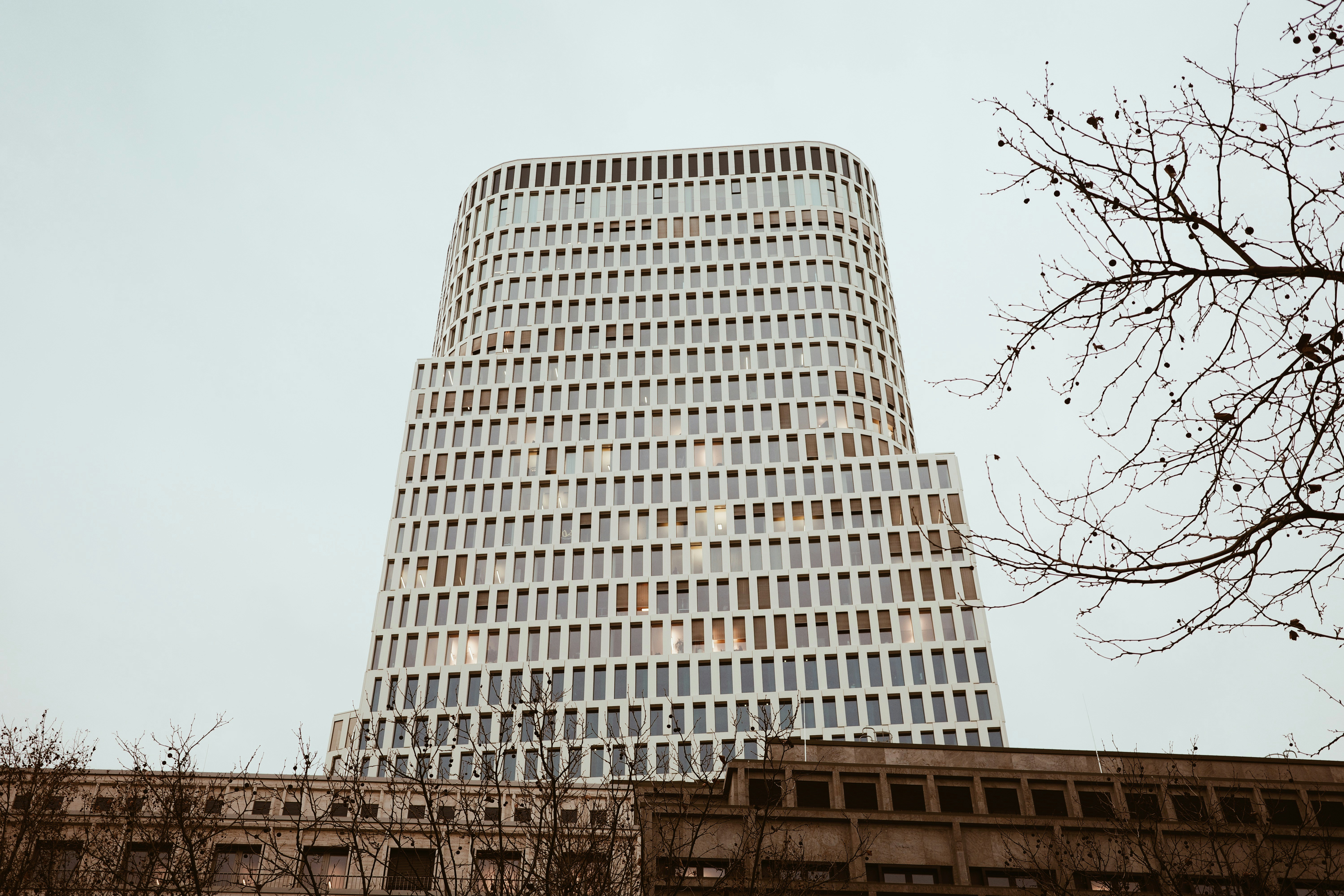 Urban Monolith Amidst Winter Branches