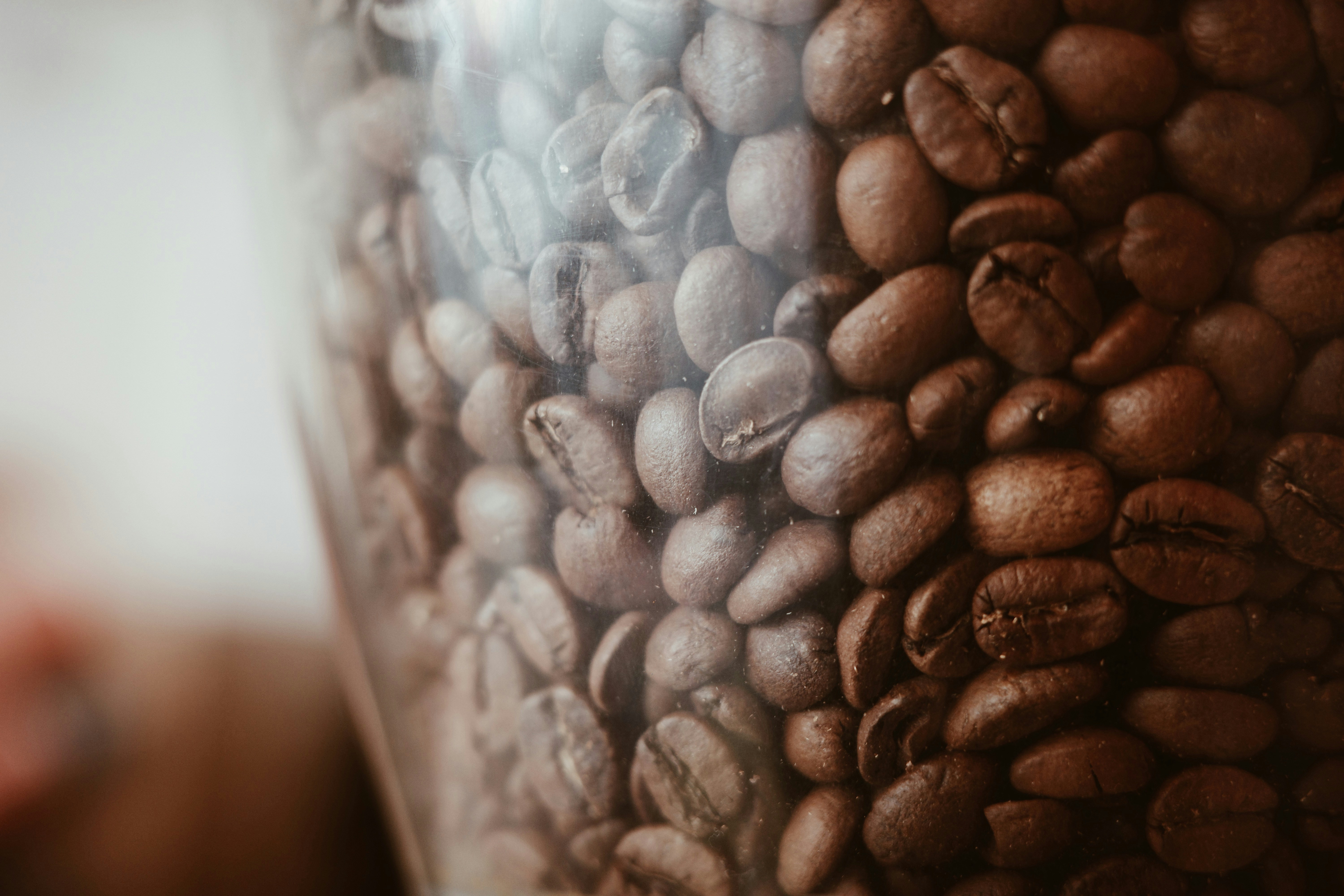 Glass-bound Coffee Beans: A Macro Portrait