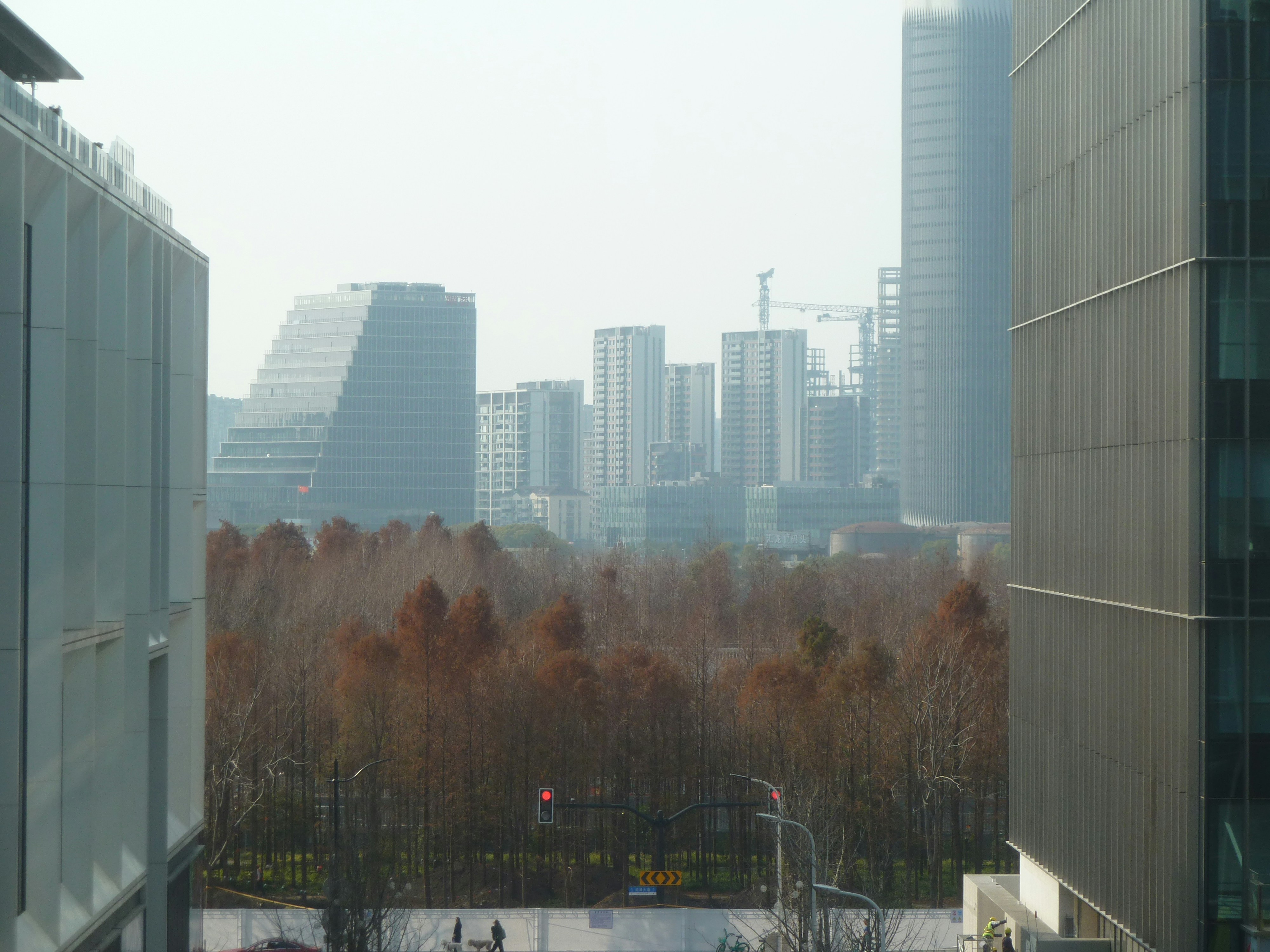 City skyline with modern buildings rising above a forest of autumn-colored trees under a hazy sky.