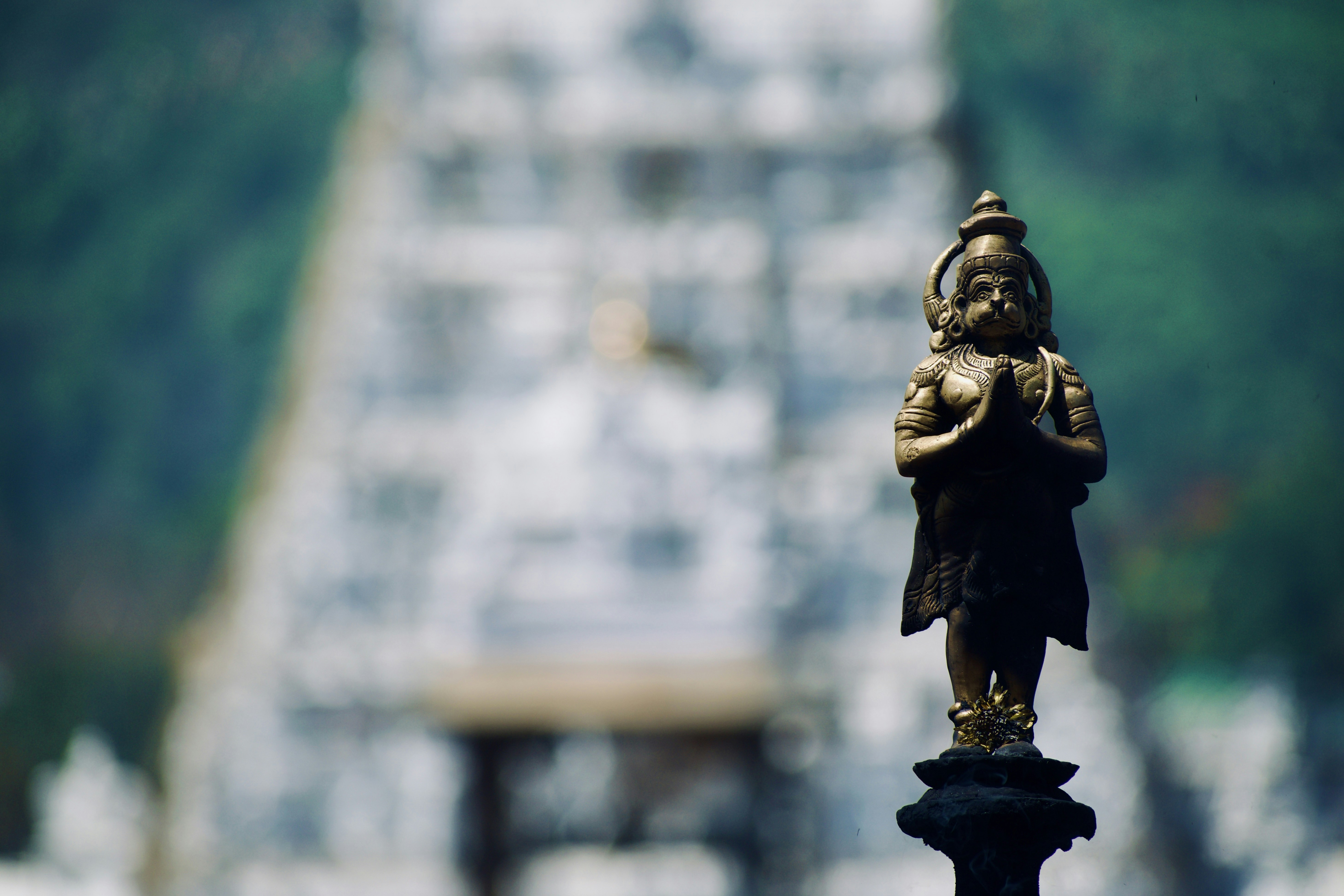 Silent Guardian Amidst Sacred Spires