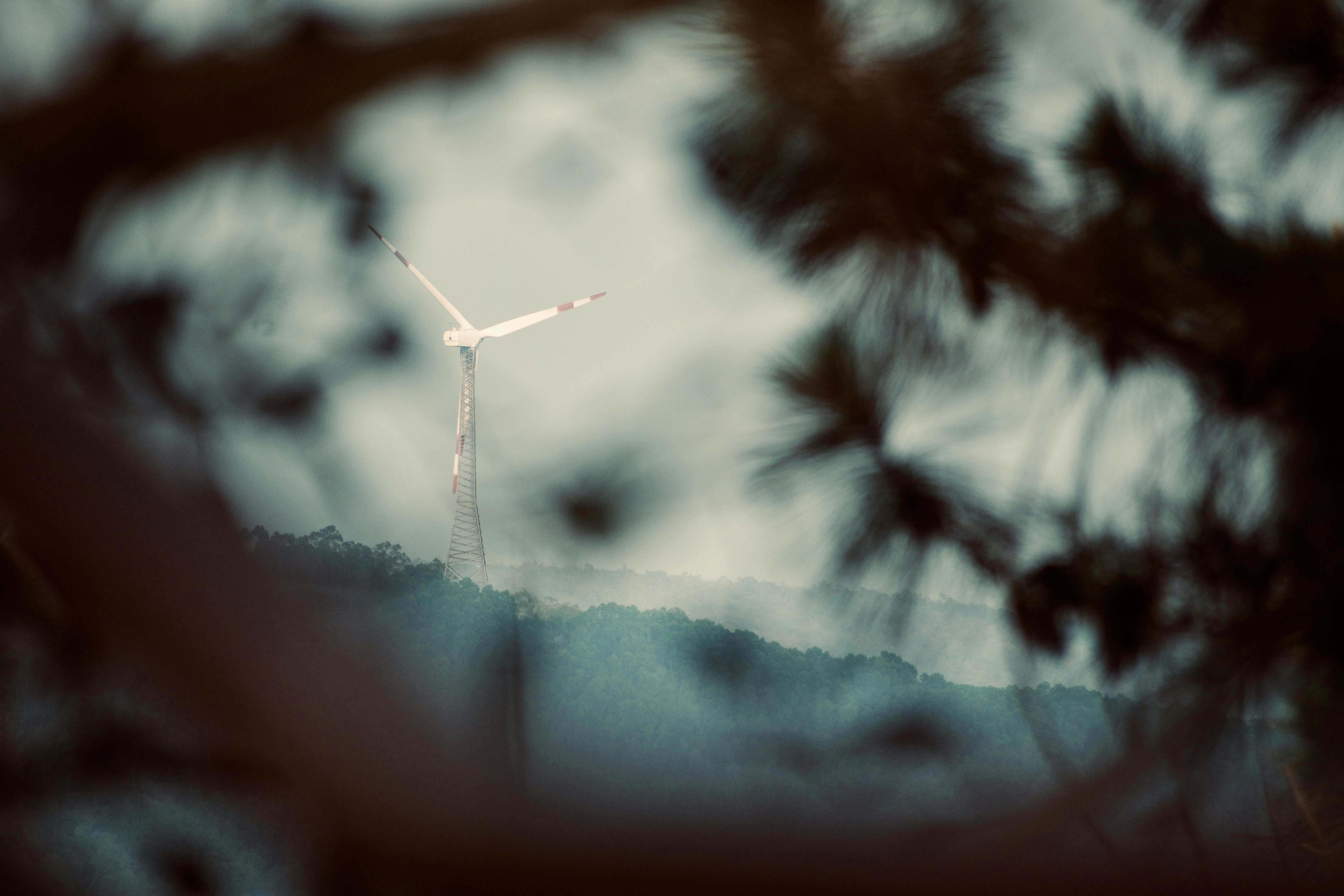 Whispering Blades: a wind turbine amid a forest veil