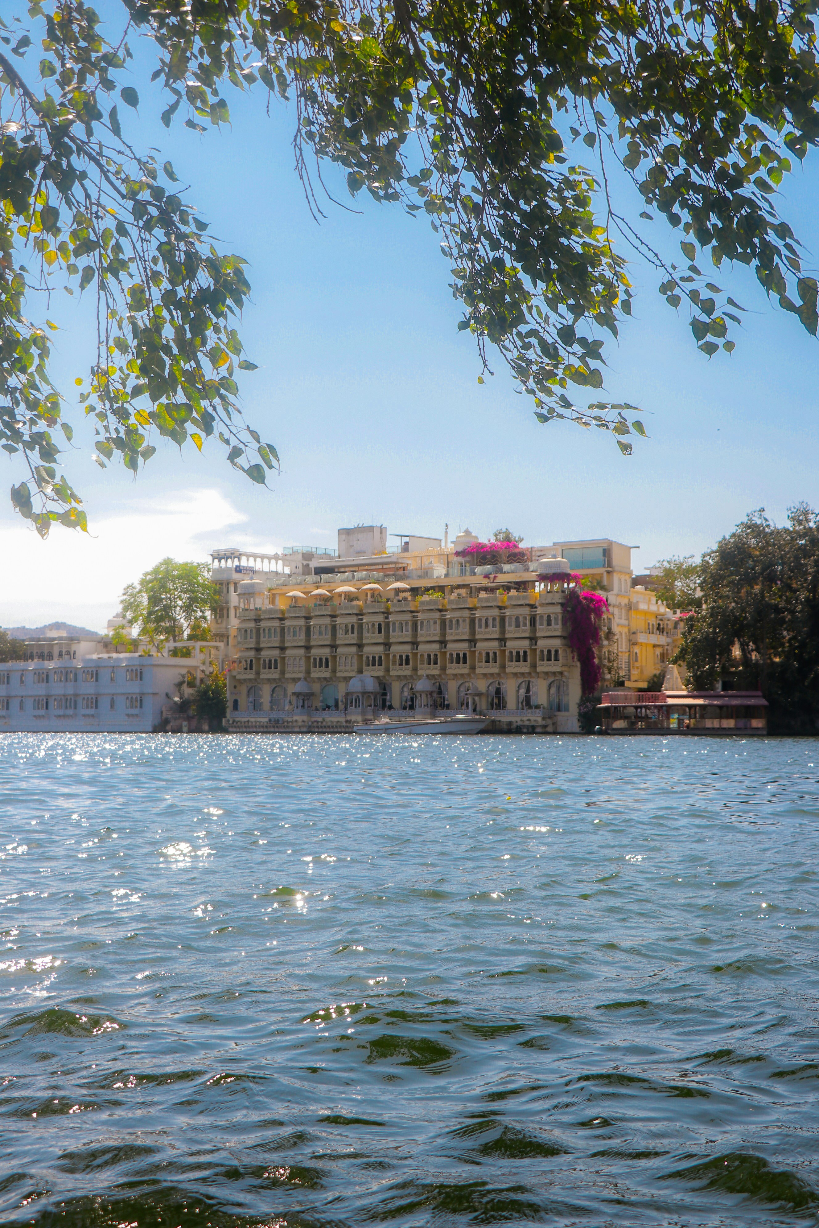 Beautiful building on the water, with some leaves.