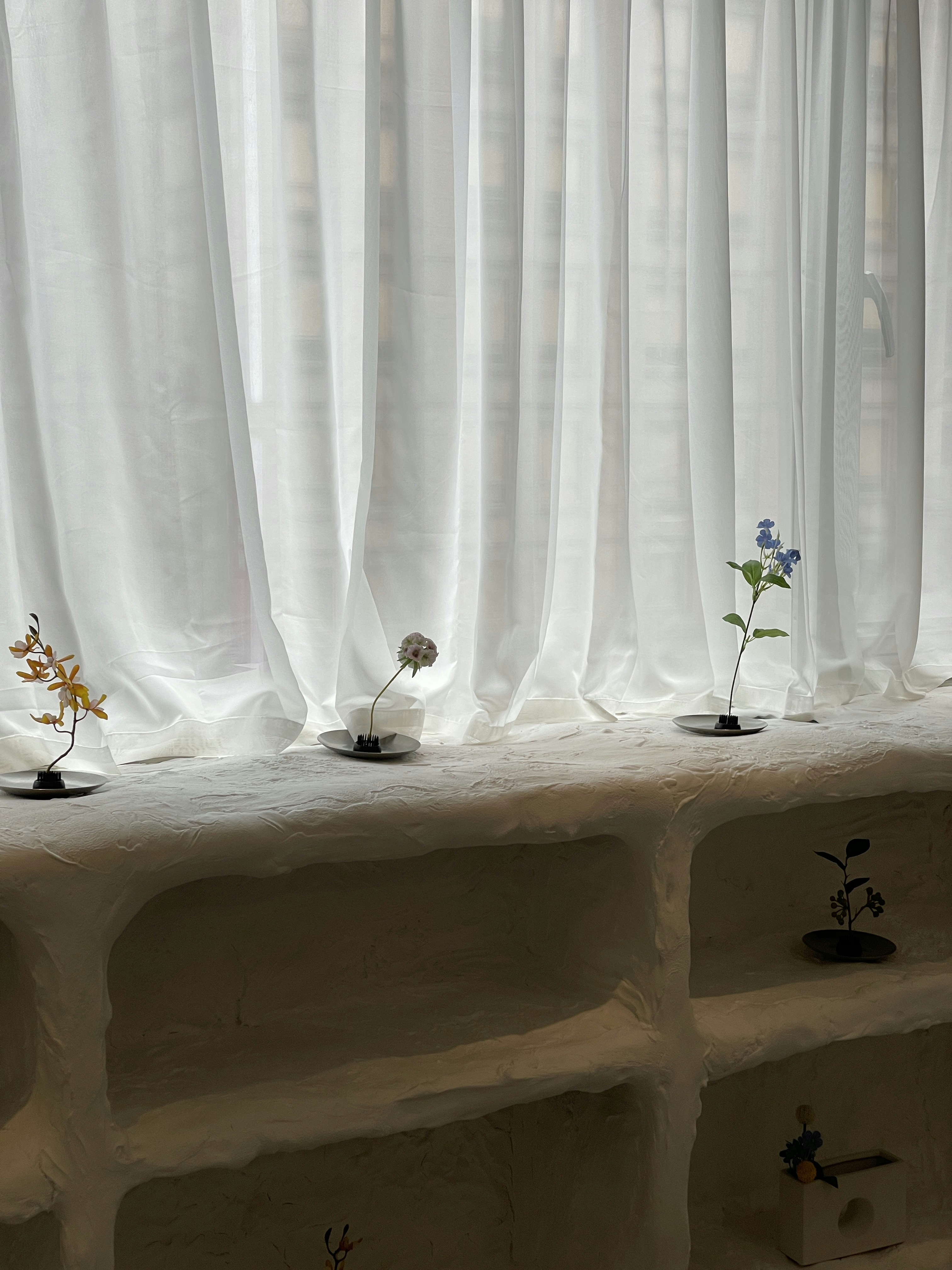 Soft diffused light filters through sheer curtains onto a white sculpted shelf displaying delicate plant stems in small pots.
