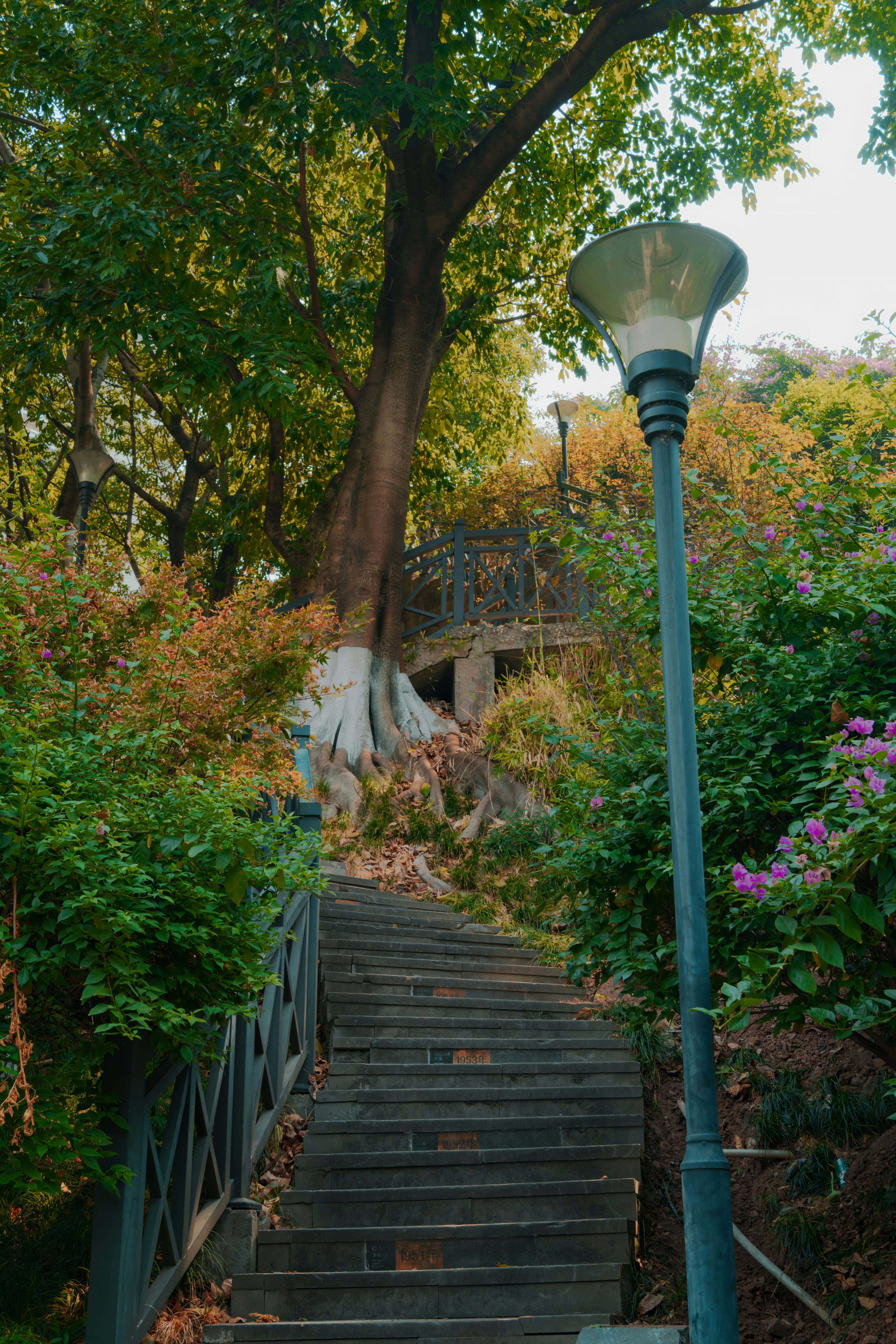 Dappled Steps: A Quiet Garden Staircase Framed by Blossoms and a Lamp